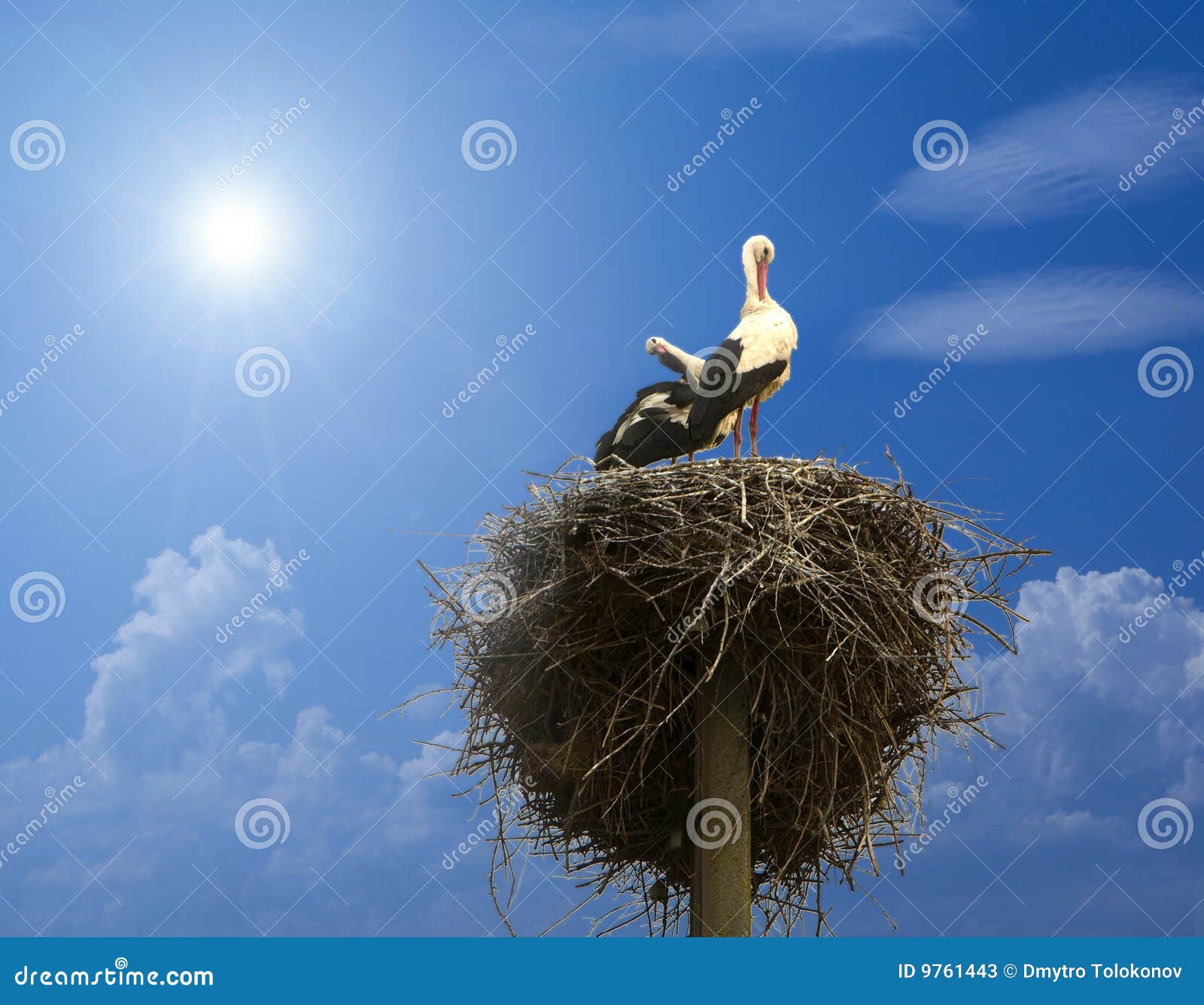 Stork family stock image. Image of home, symbol, maternity - 9761443