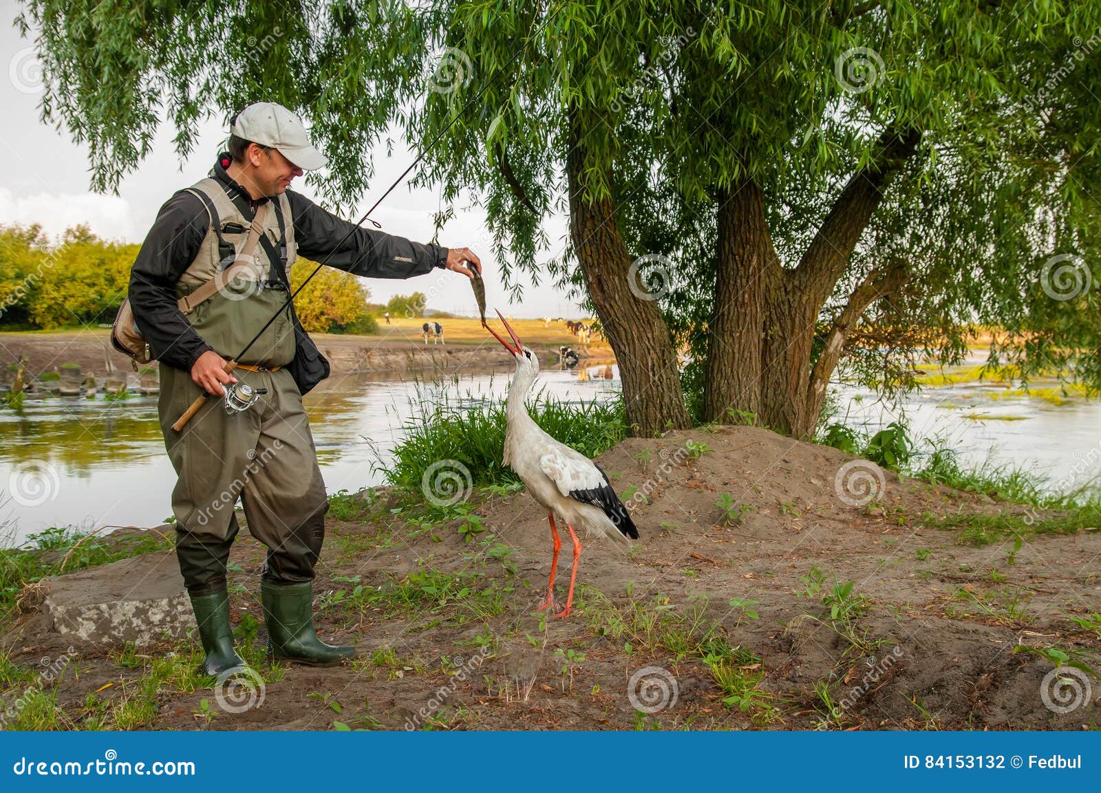 Stork and fisherman stock photo. Image of bird, hobbies - 84153132