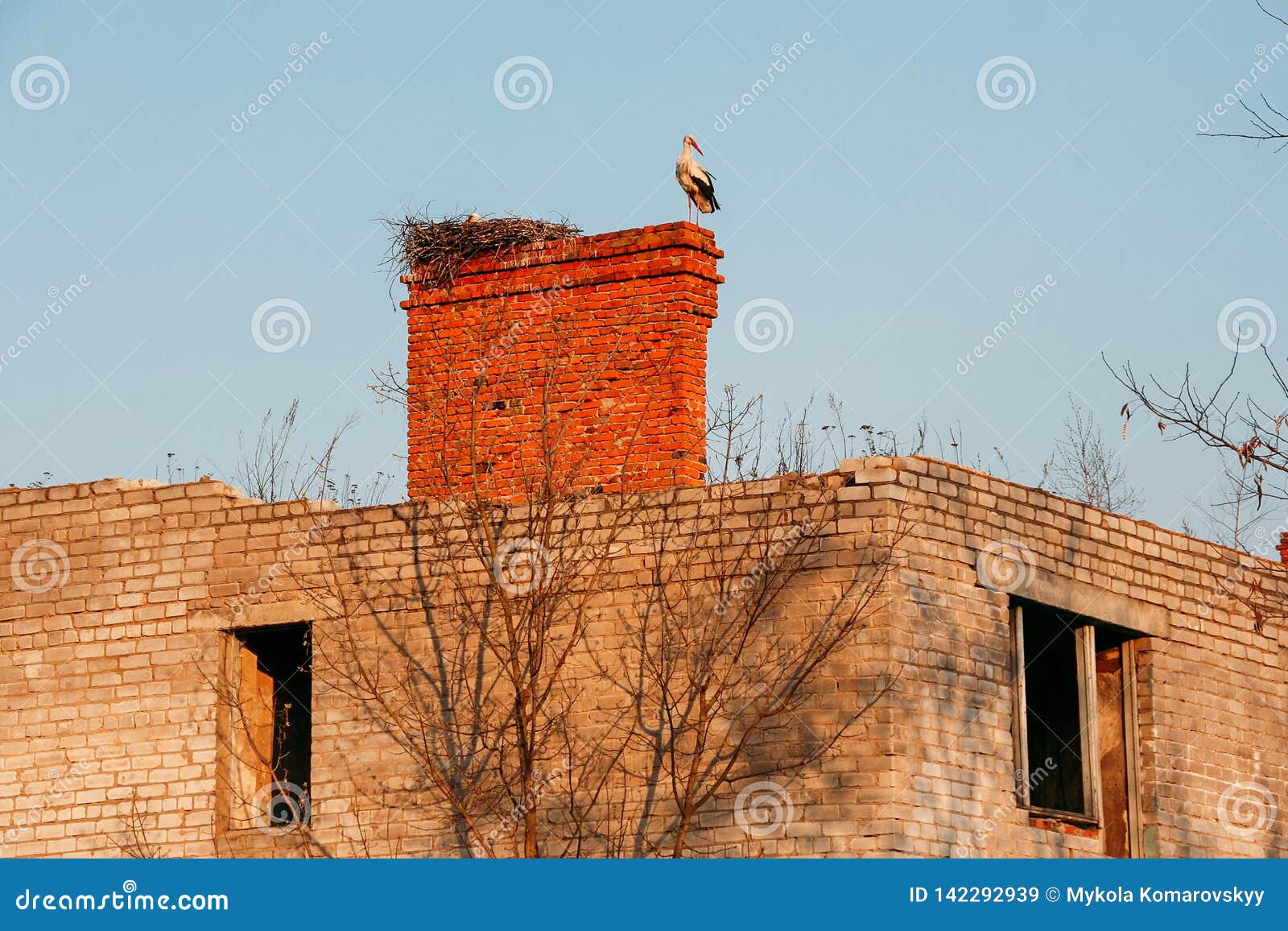 Stork in the nest on house stock image. Image of stork - 142292939