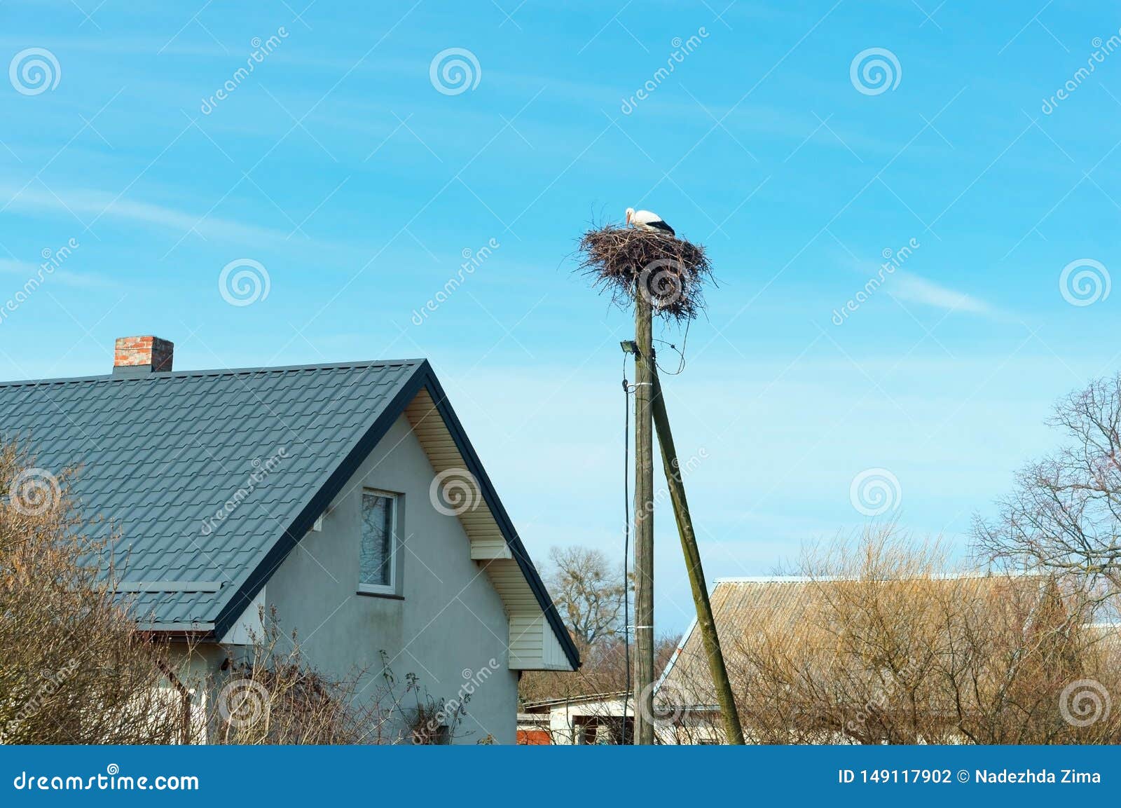 Stork Nest on a Pillar, Stork in the Nest Near the House Stock Photo ...