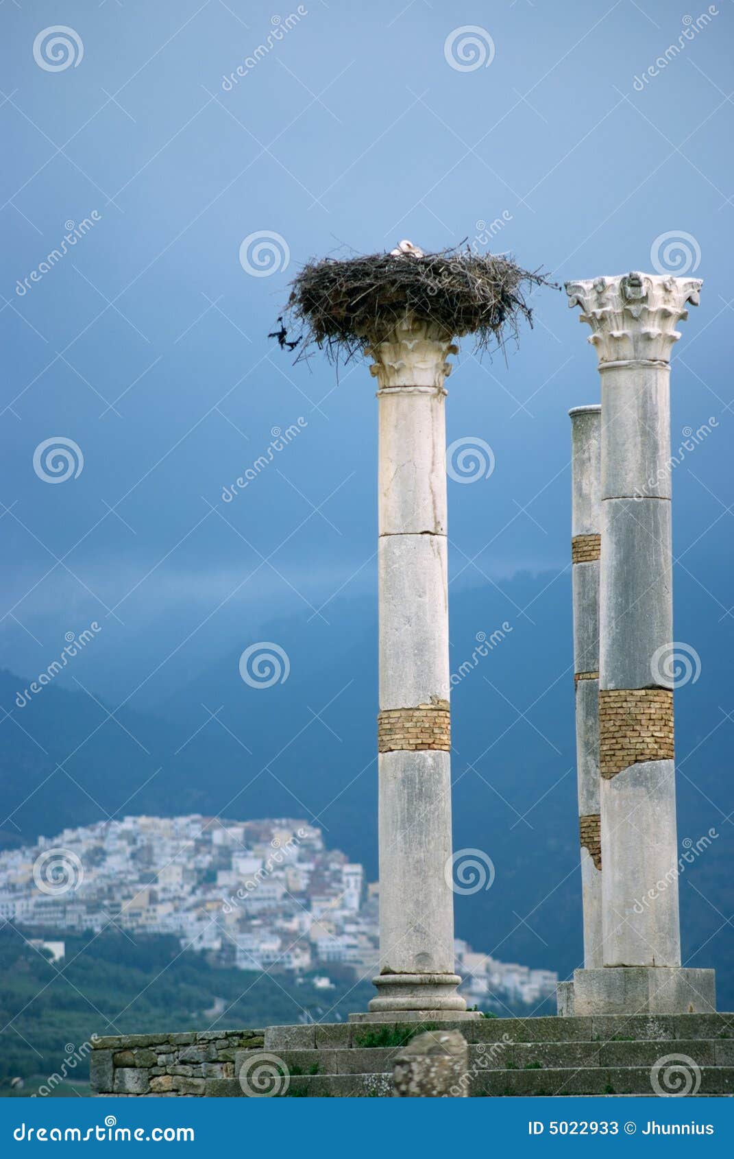 Stork Nest on a Roman Column Stock Image - Image of column, morocco ...