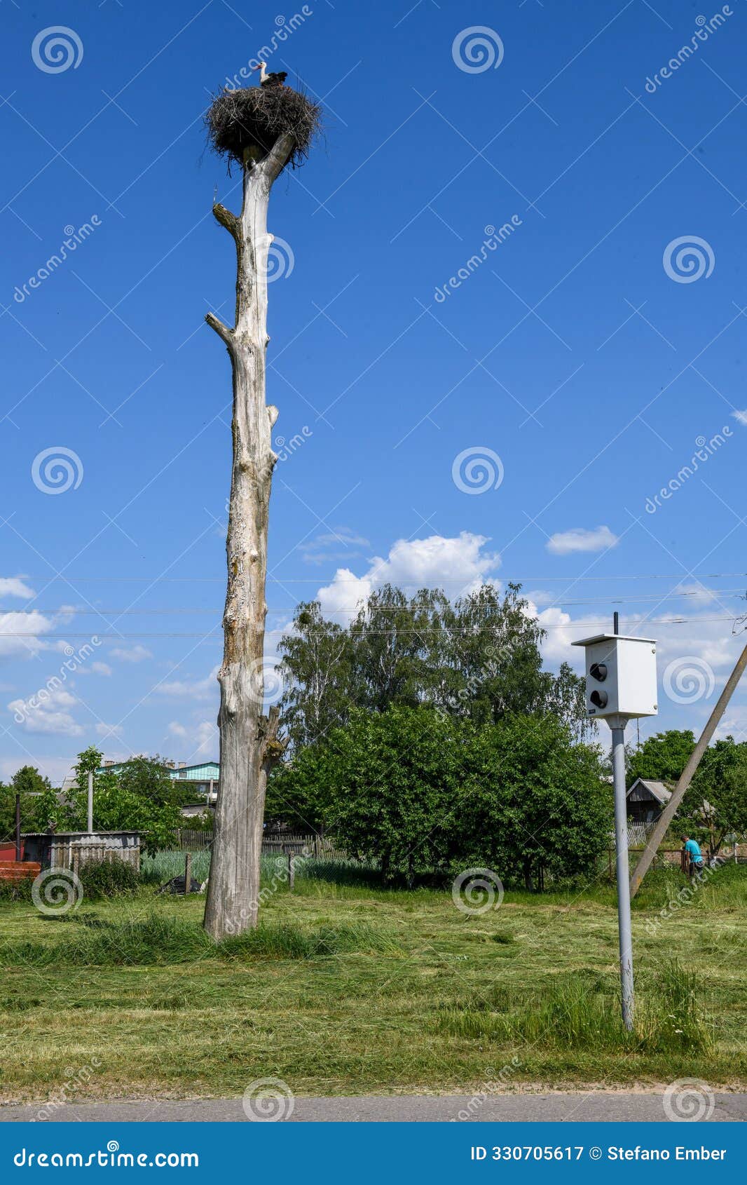 Stork S Nest and Radar Speed Control in the Countryside of Belarus ...