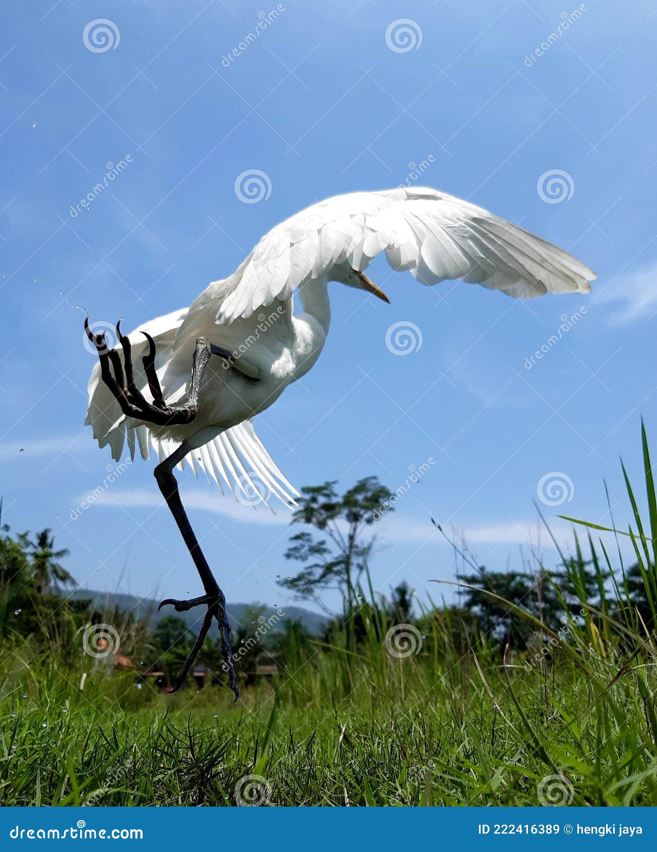 Shadow Of A Crane Hook On A Yellow Facade Stock Photo | CartoonDealer ...