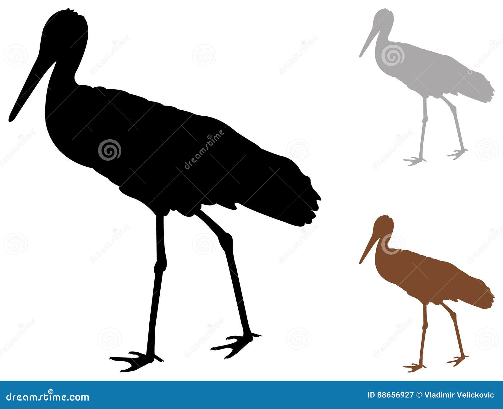 Stork Silhouette - Large Waterbird Cartoon Vector | CartoonDealer.com ...