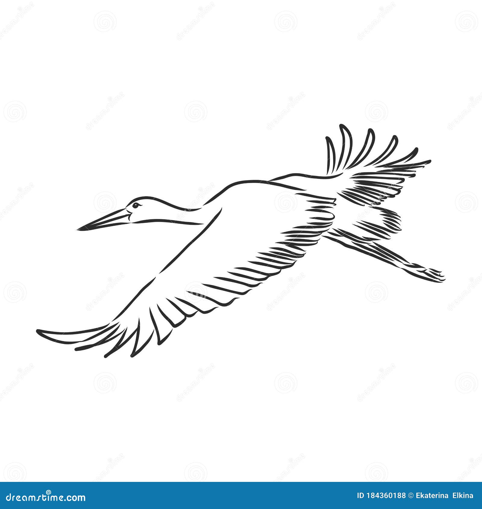 Stork Sketch Vector Illustration. Hand Sketching a Stork for a Design ...