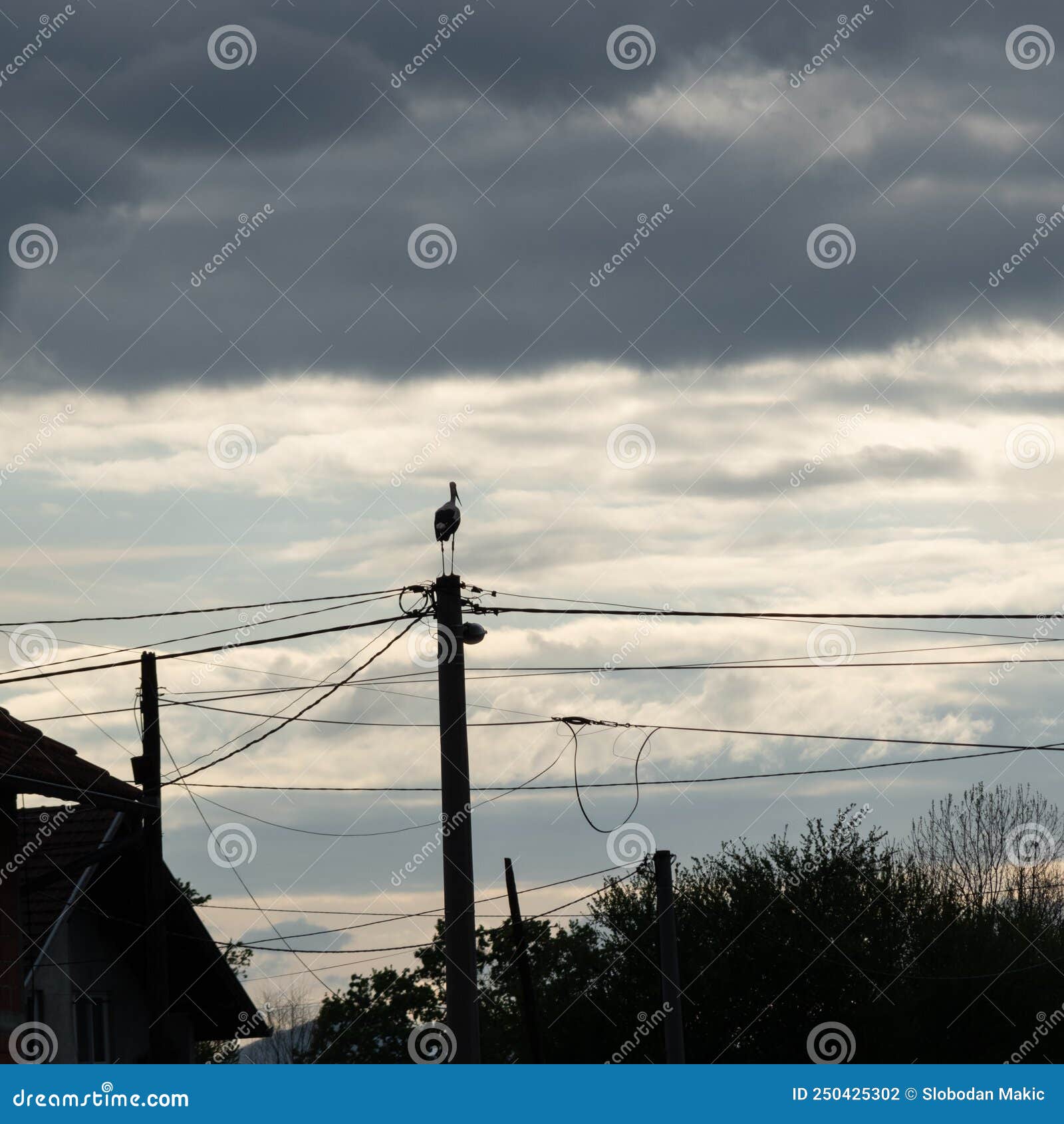 Stork Stand on Electric Pylon Against Clouds Stock Photo - Image of ...