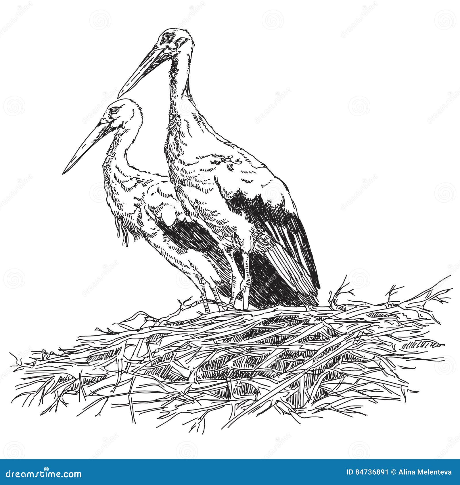 Storks Couple in the Nest Vector Illustratoin Stock Vector ...