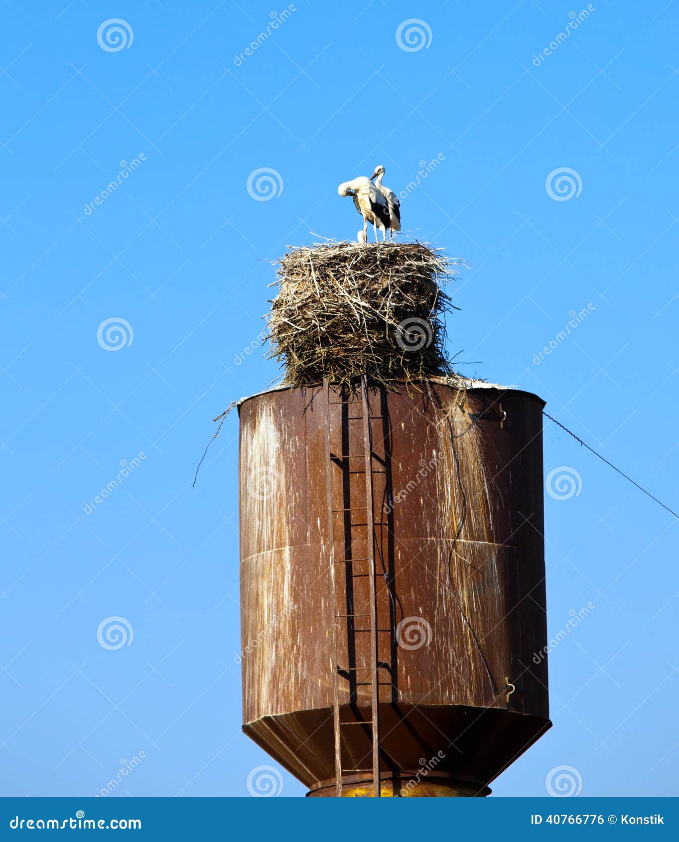 Storks Nest Top Pipe Stock Photos - Free & Royalty-Free Stock Photos ...