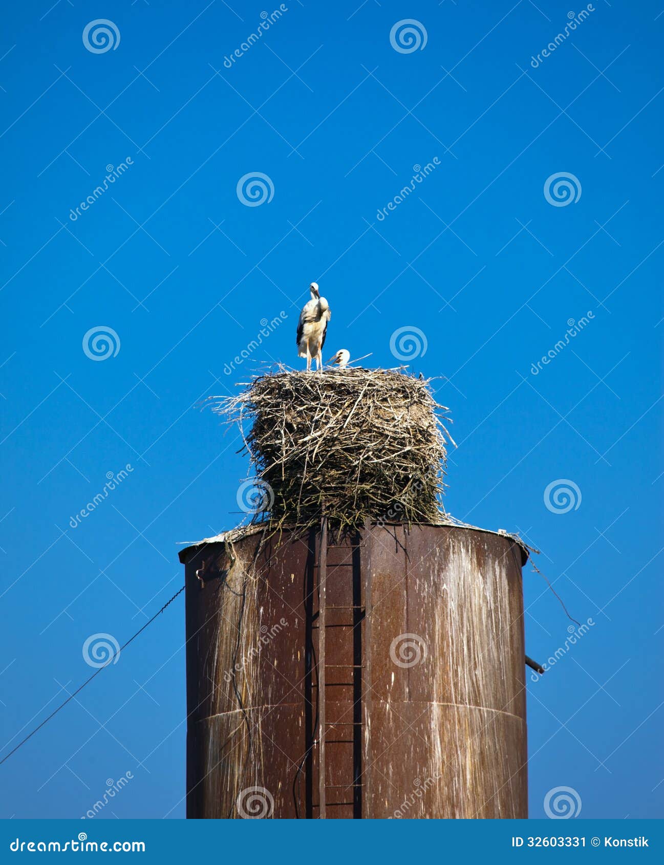 Storks in a Nest on Top of Pipe.Close Up in a Sunny Day Stock Image ...