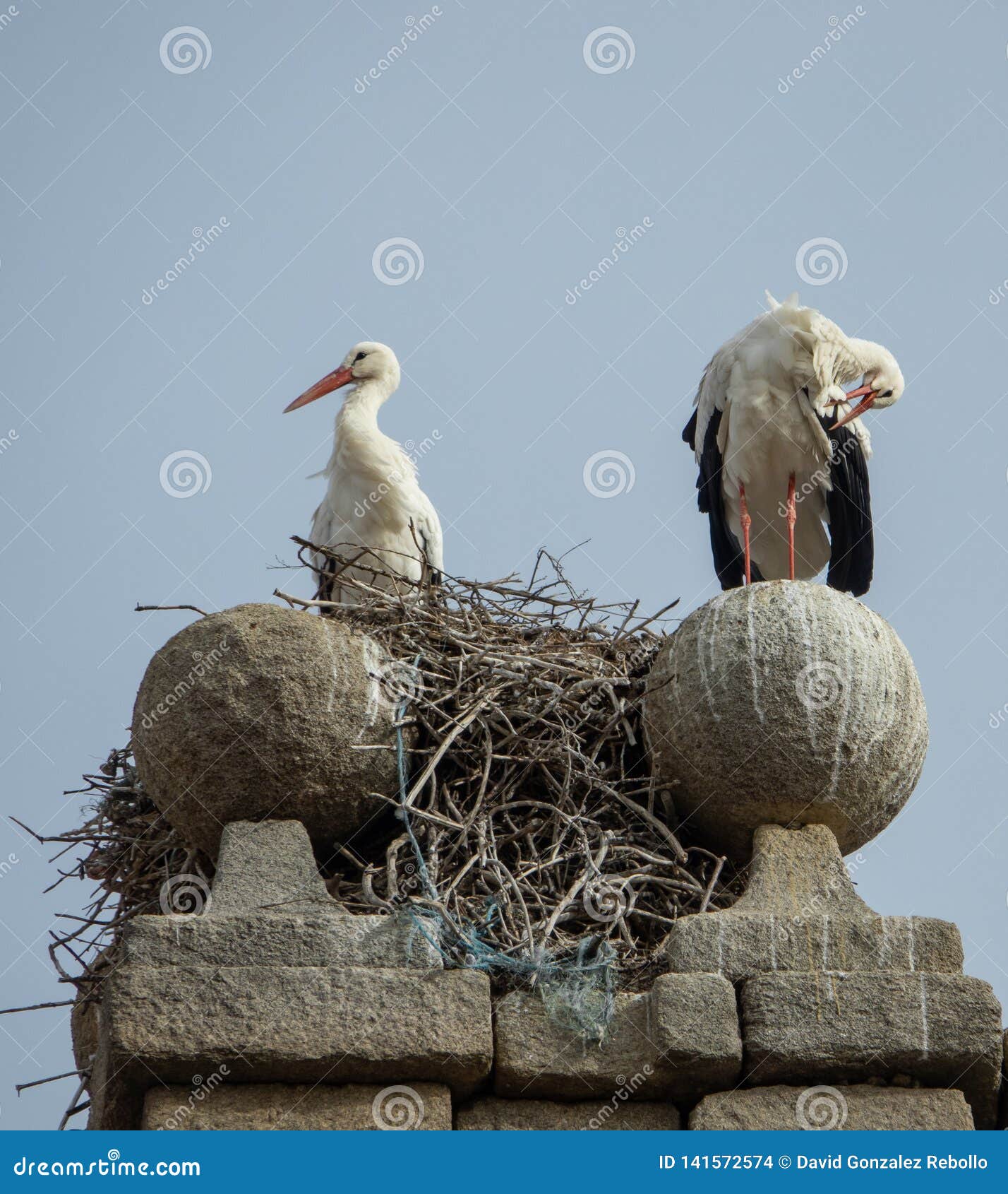 Storks and Nest at the Top of a Tower in Avila Stock Photo - Image of ...