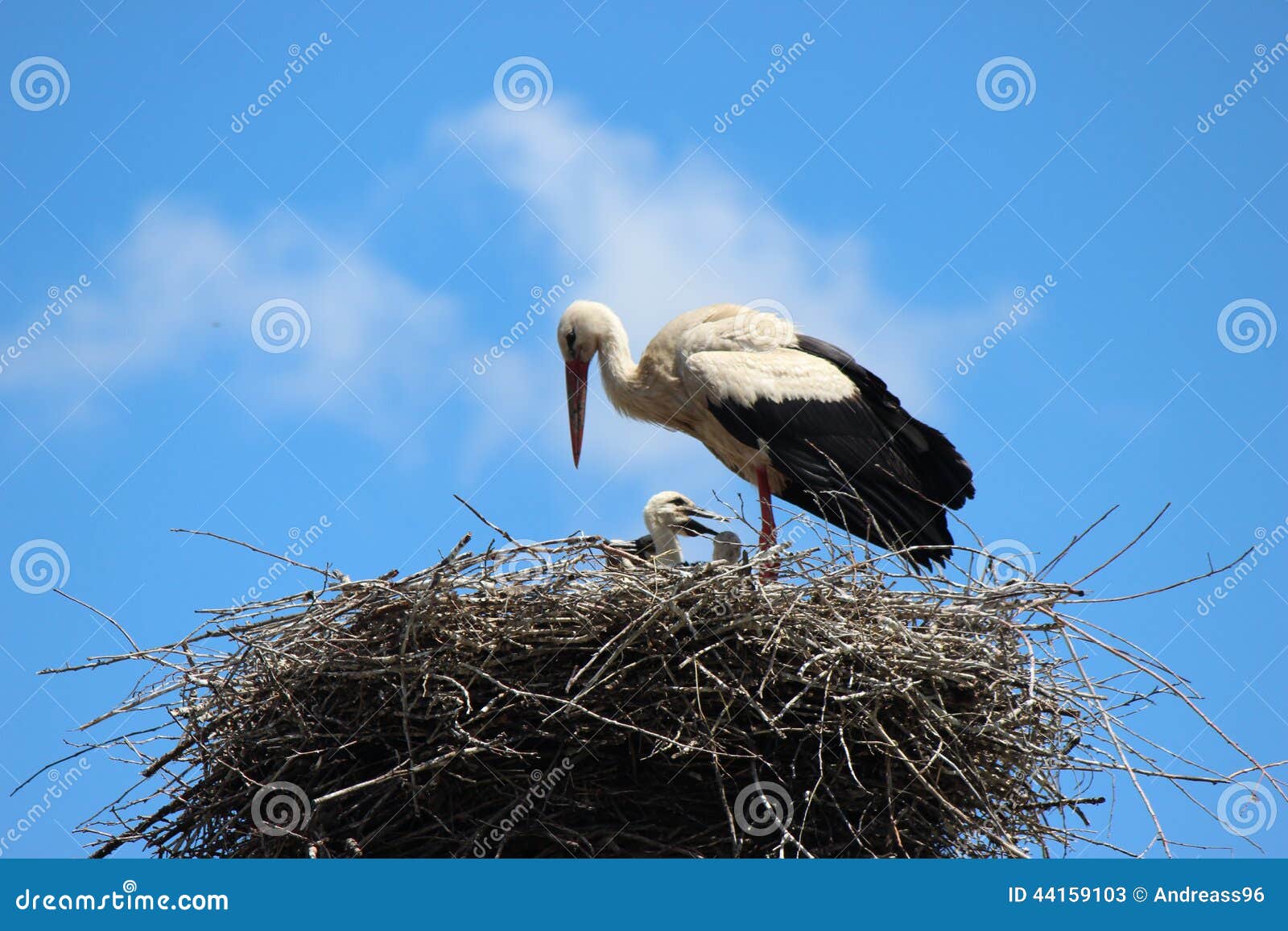 Stork In The Nest On The Roof Of A Modern House - Concept Of Pregnancy ...