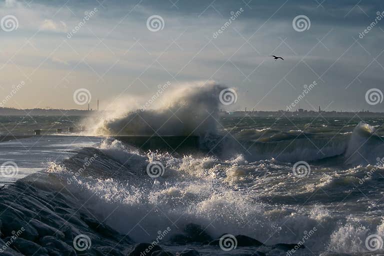 Storm stock photo. Image of beach, clouds, blue, rise - 1800250