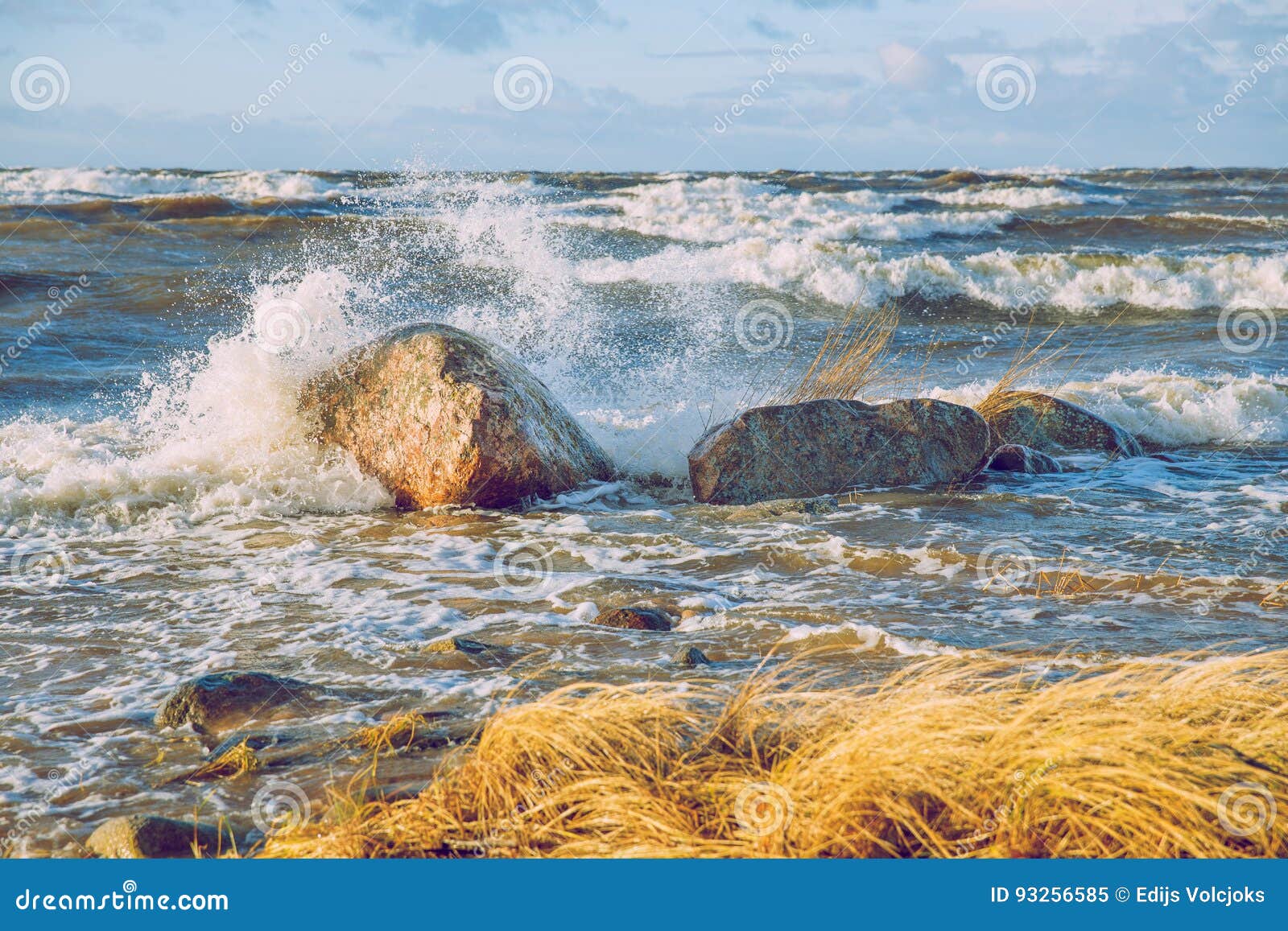 Storm in Baltic Sea. stock image. Image of forrest, horizon - 93256585