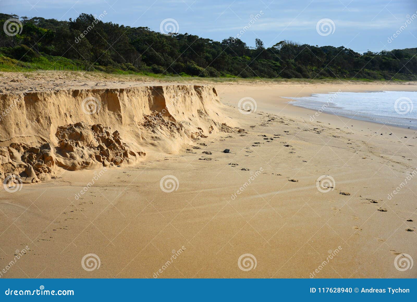 Eroded beach background stock photo. Image of shoreline - 117628940
