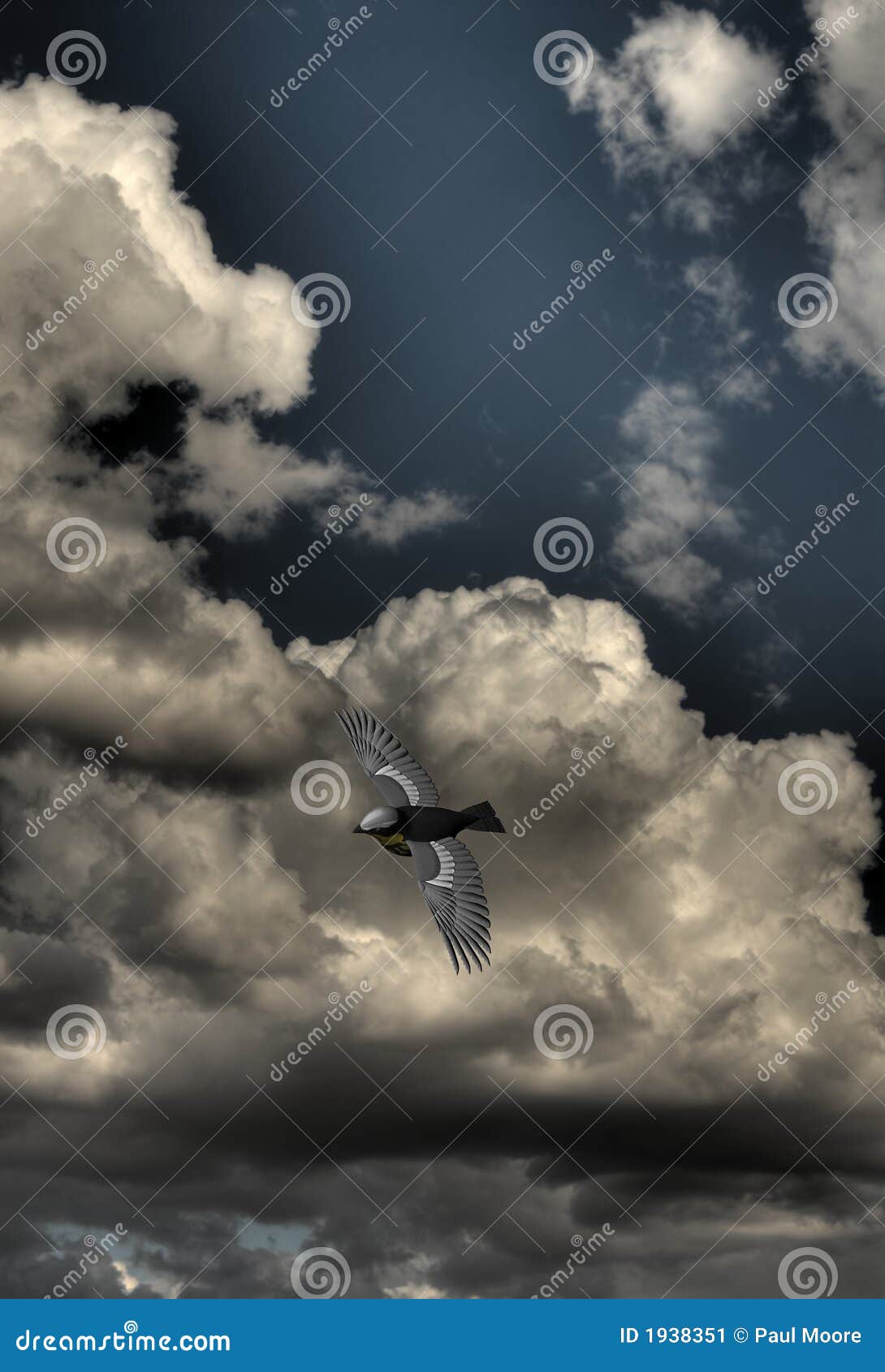 Storm Bird stock illustration. Illustration of nature - 1938351