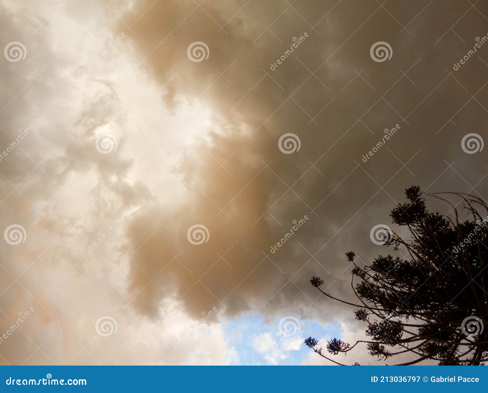Storm build up over a park stock image. Image of scenic - 213036797
