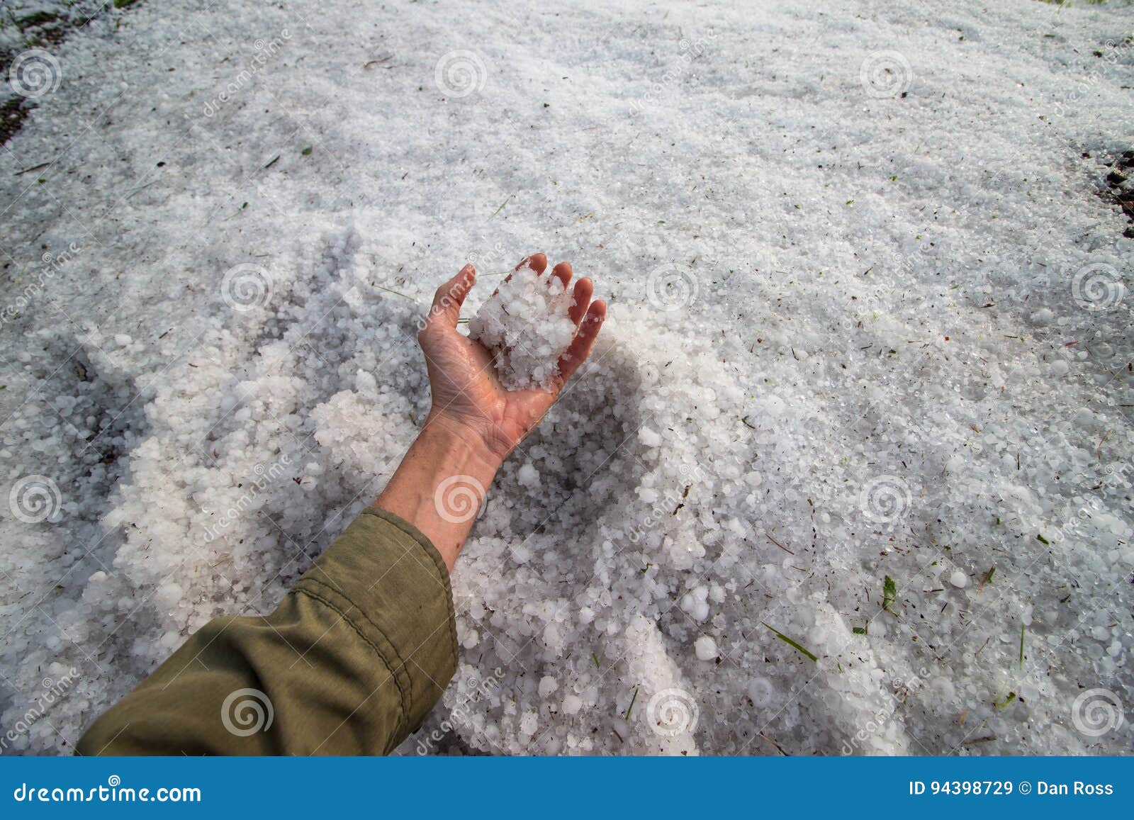 Storm Chaser Scoops Up a Handful of Small Hail Stock Image - Image of ...