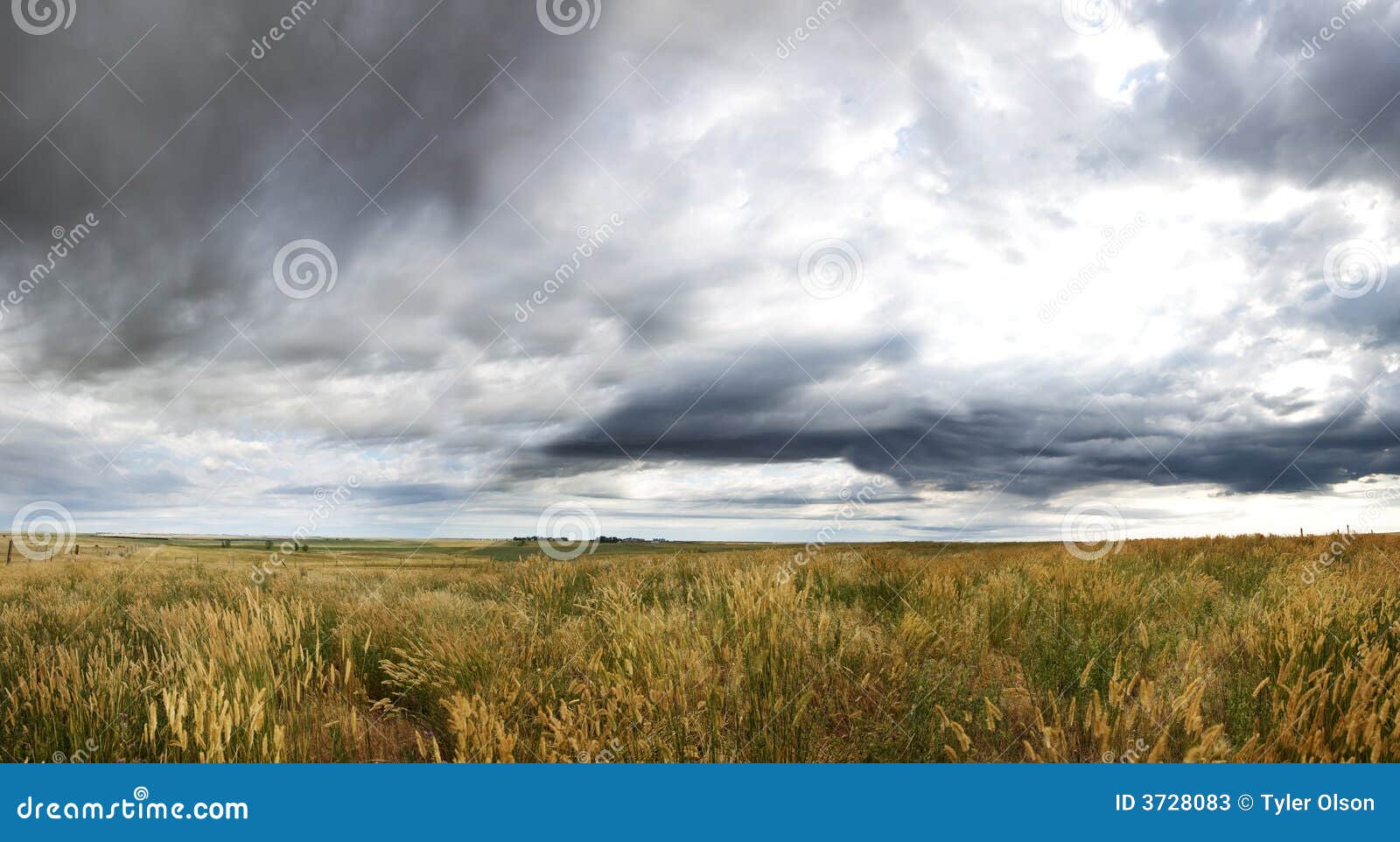 Storm Cloud Prairie Landscape Stock Image - Image of copyspace, meadow ...