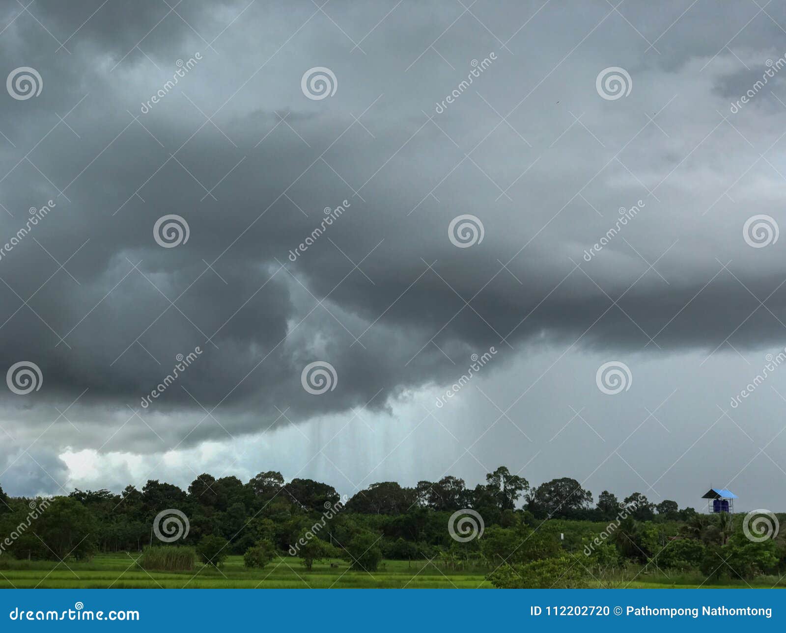 Storm cloud and rice field stock photo. Image of countryside - 112202720