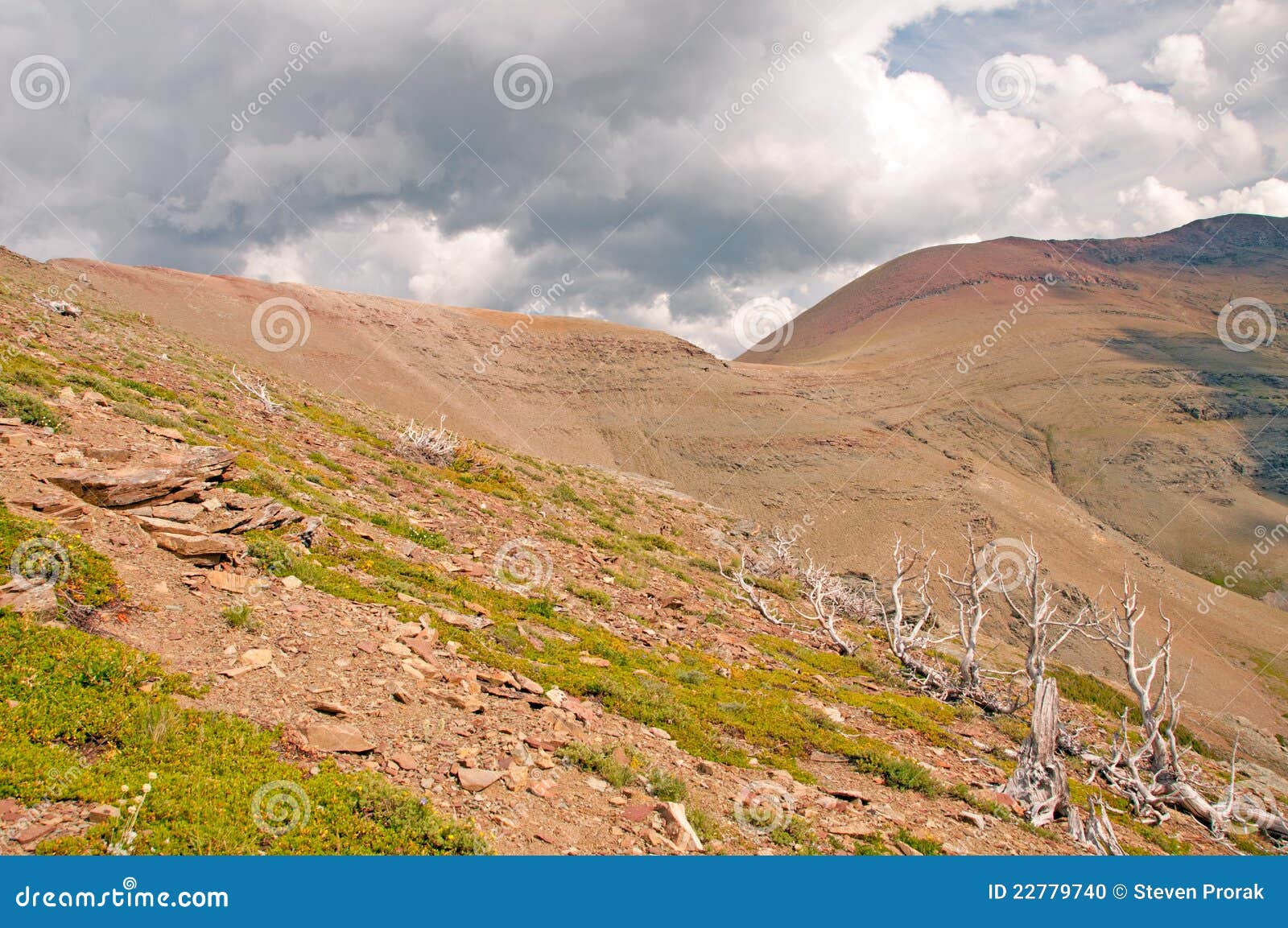 Storm Clouds Above Treeline Stock Photo - Image of nature, landscape ...