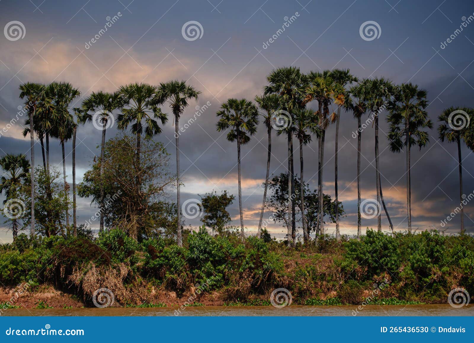 Storm Clouds Along the River Bank in the Philippines Stock Photo ...