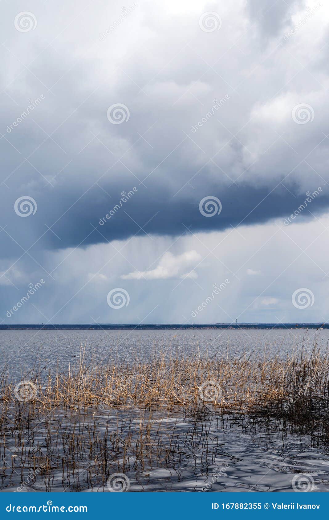 Storm Clouds with Heavy Rain Over the Lake Stock Image - Image of ...