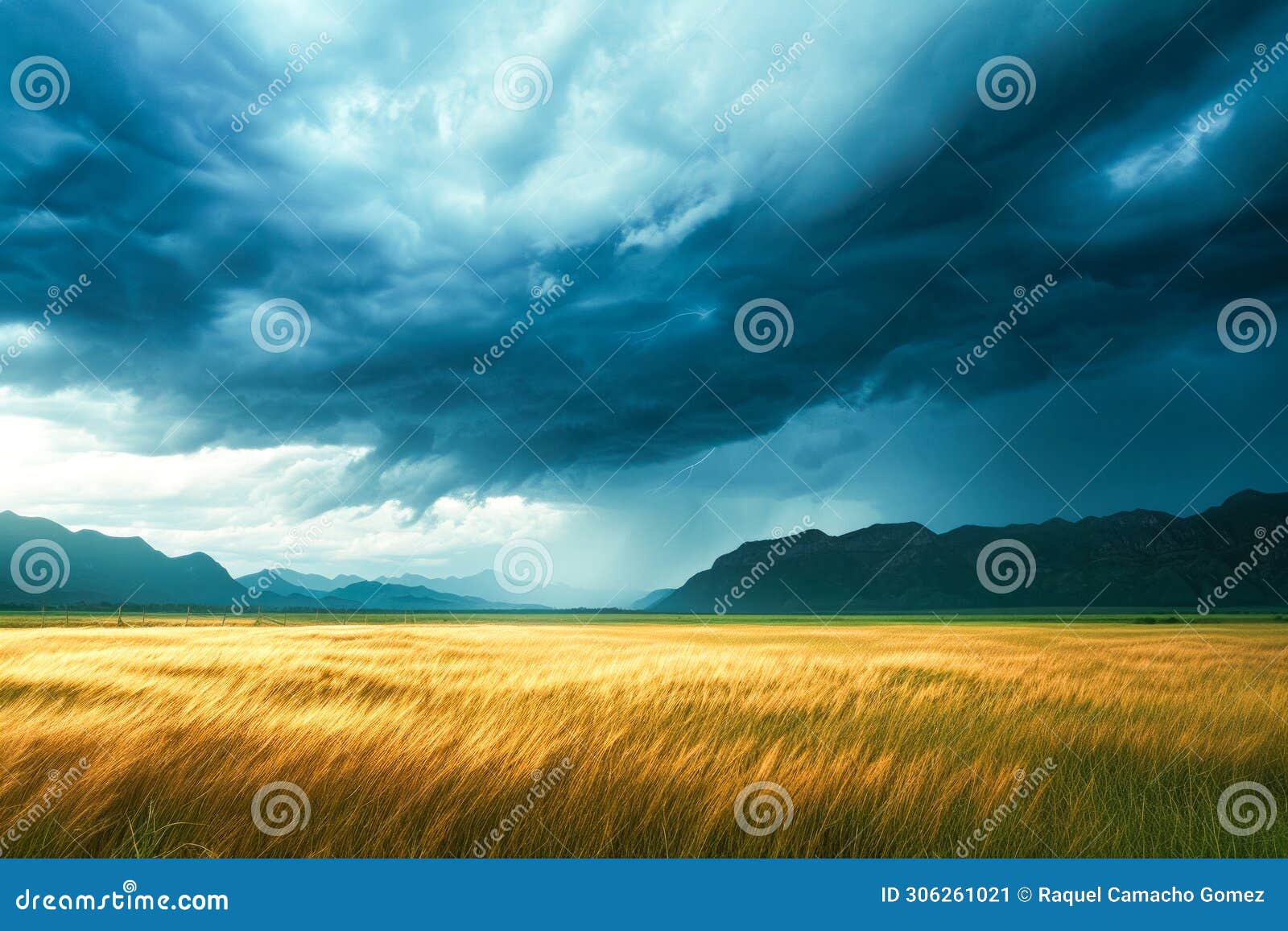 Storm Clouds and Lightning Over a Crop Field. Meteorology and ...