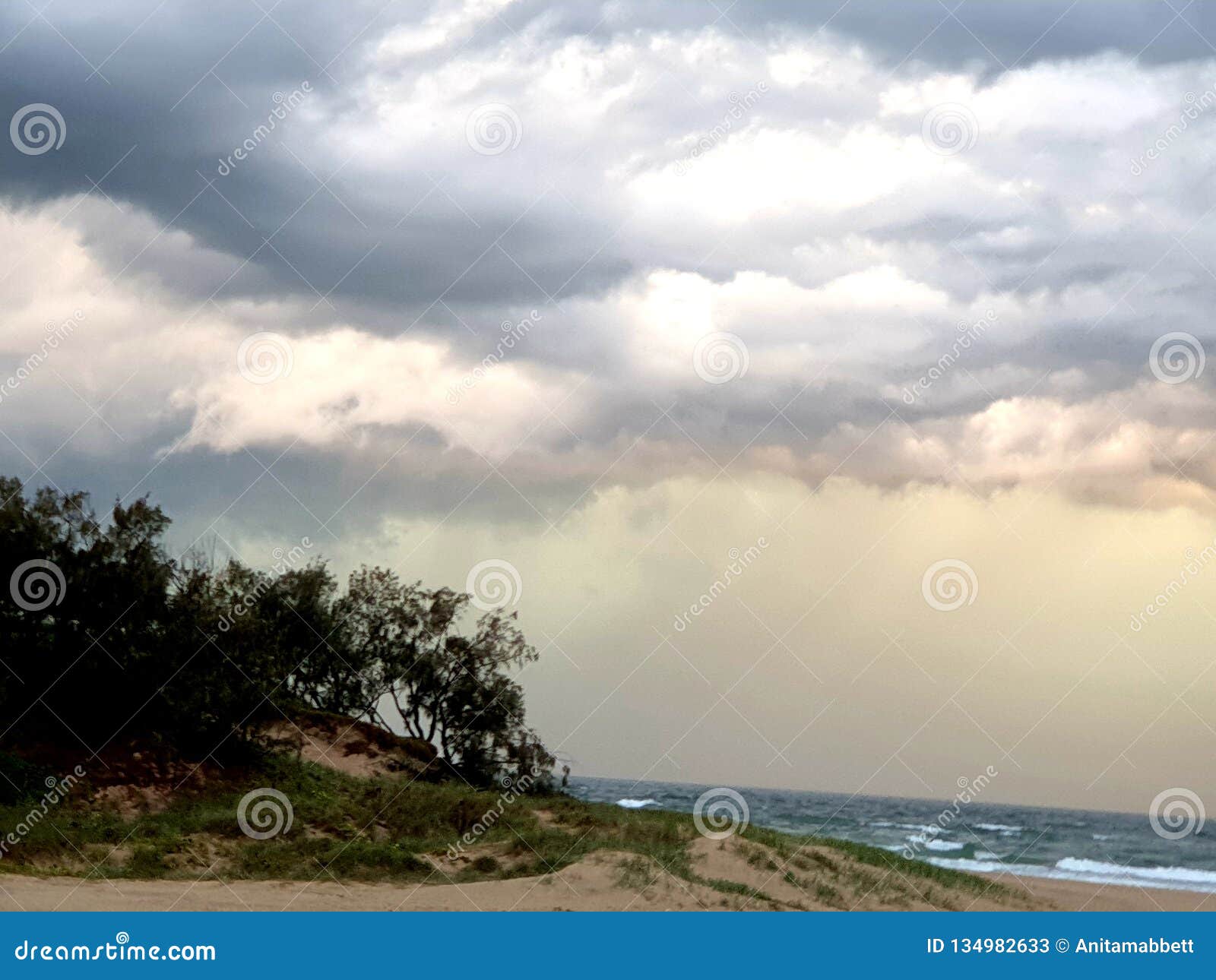 Storm Clouds Over Bush Beach Trees and the Ocean Stock Image - Image of ...