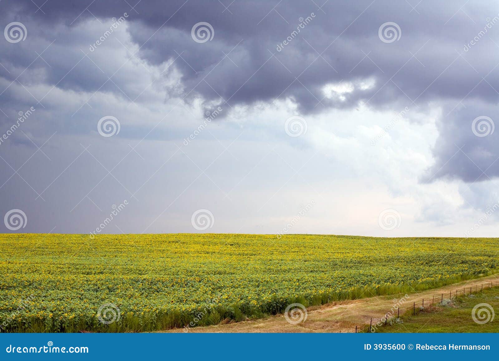 Storm clouds over field stock photo. Image of gray, countryside - 3935600