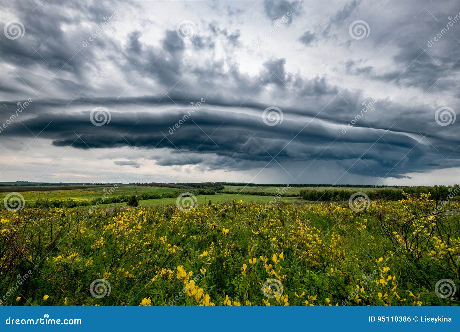 Storm clouds over field. stock photo. Image of thunder - 95110386