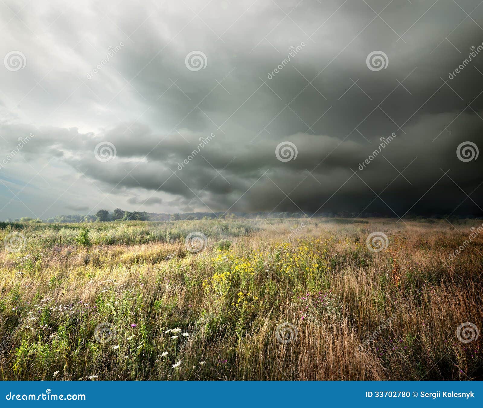 Storm clouds over field stock photo. Image of nature - 33702780