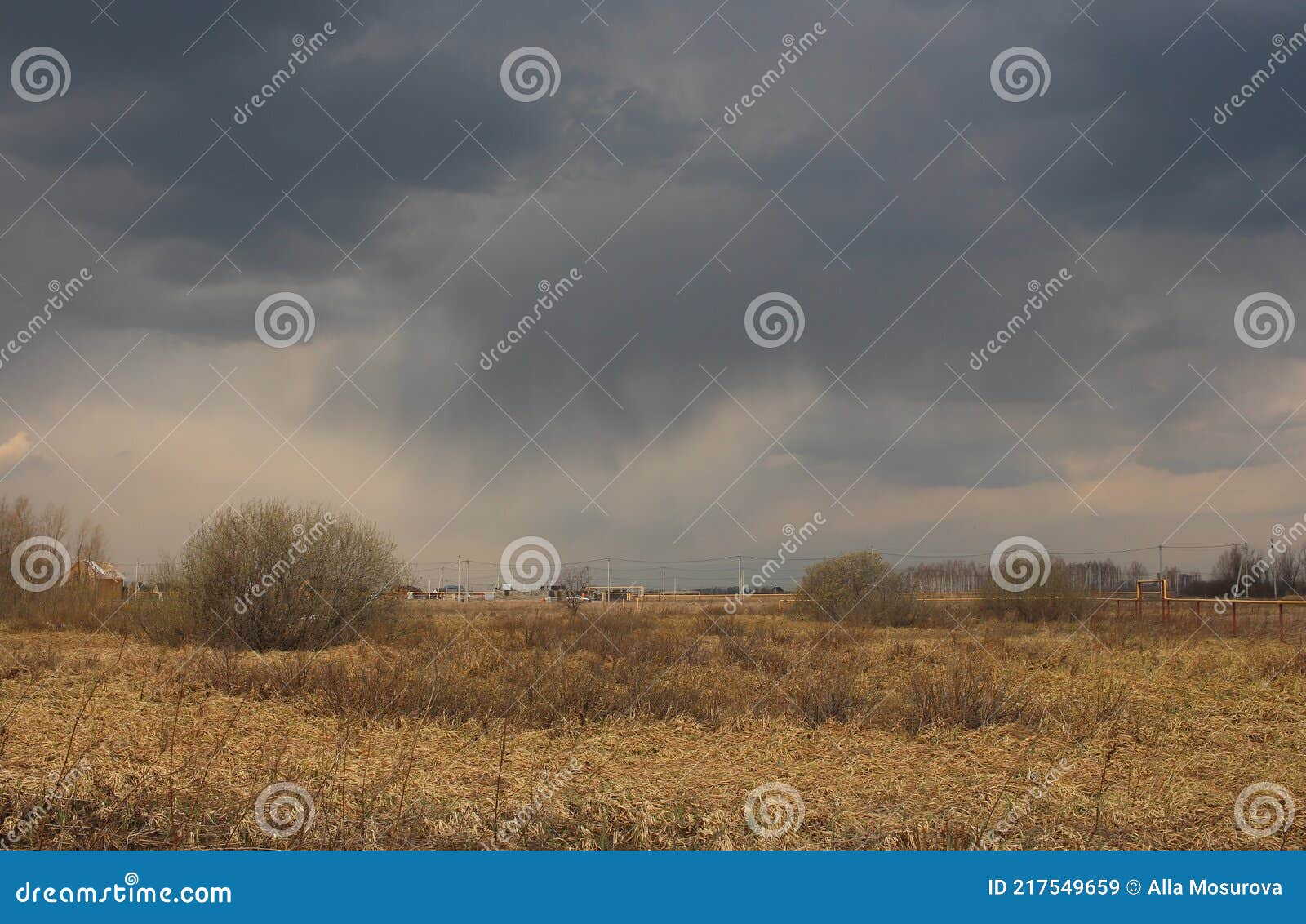 Storm Clouds Over a Field in Nature with a Forest Landscape Stock Image ...