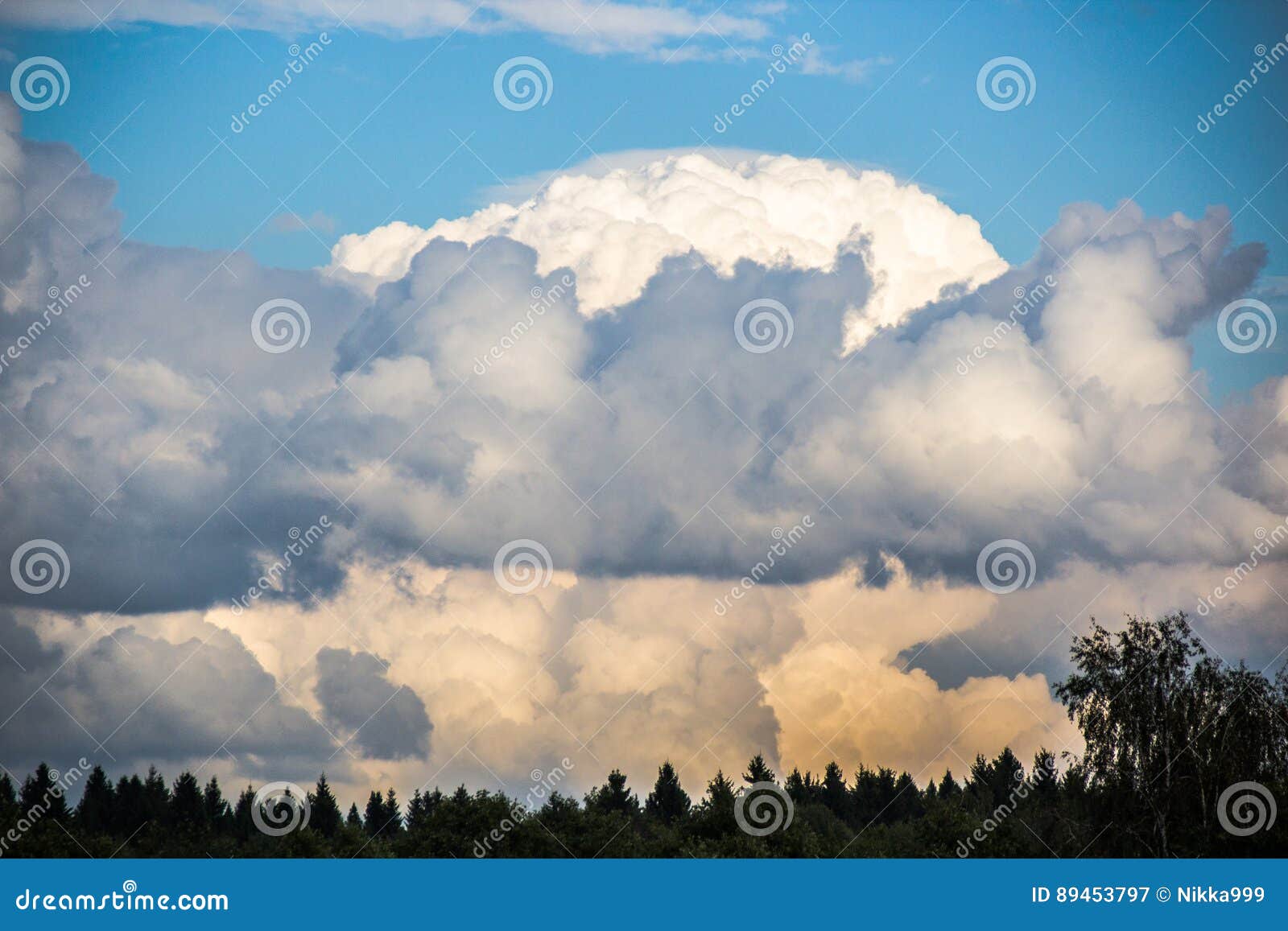 Storm Clouds Over the Forest. Stock Image - Image of horizon, moody ...