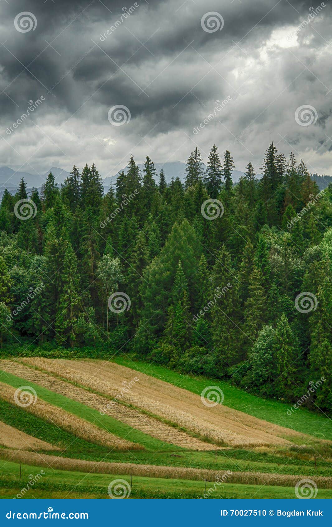 Storm Clouds Over the Forest Stock Photo - Image of valley, hill: 70027510