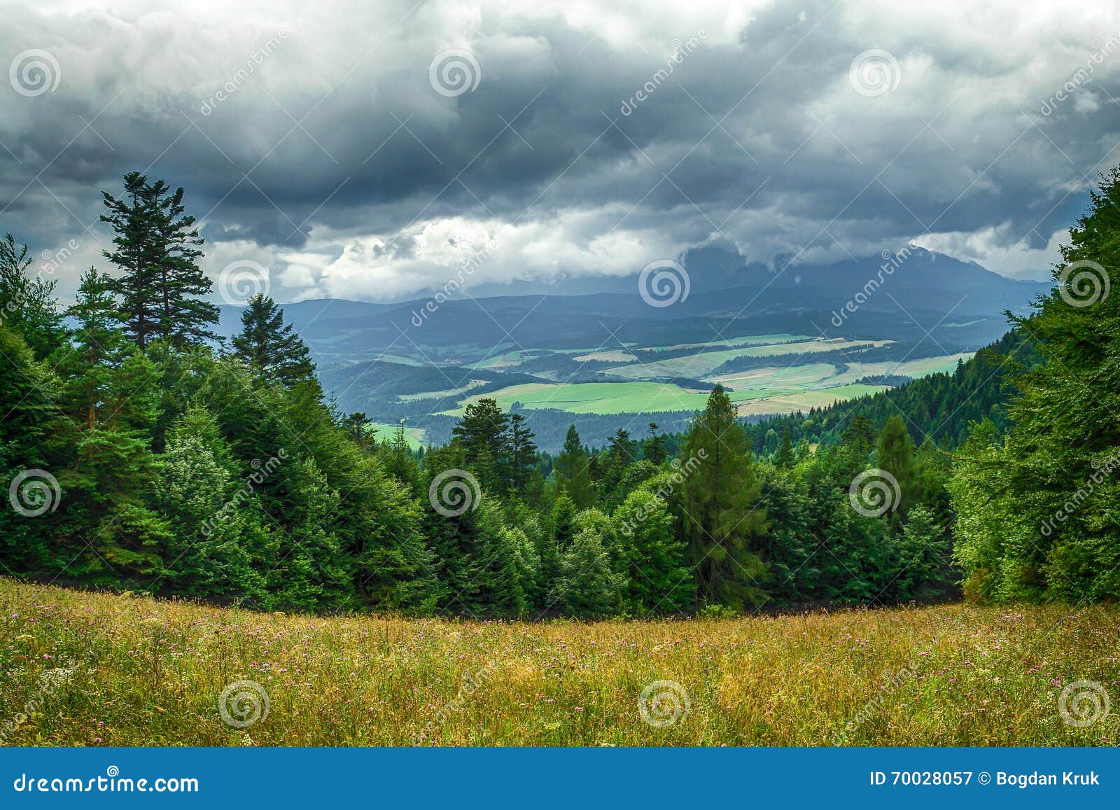 Storm Clouds Over the Forest Stock Image - Image of valley, scenery ...