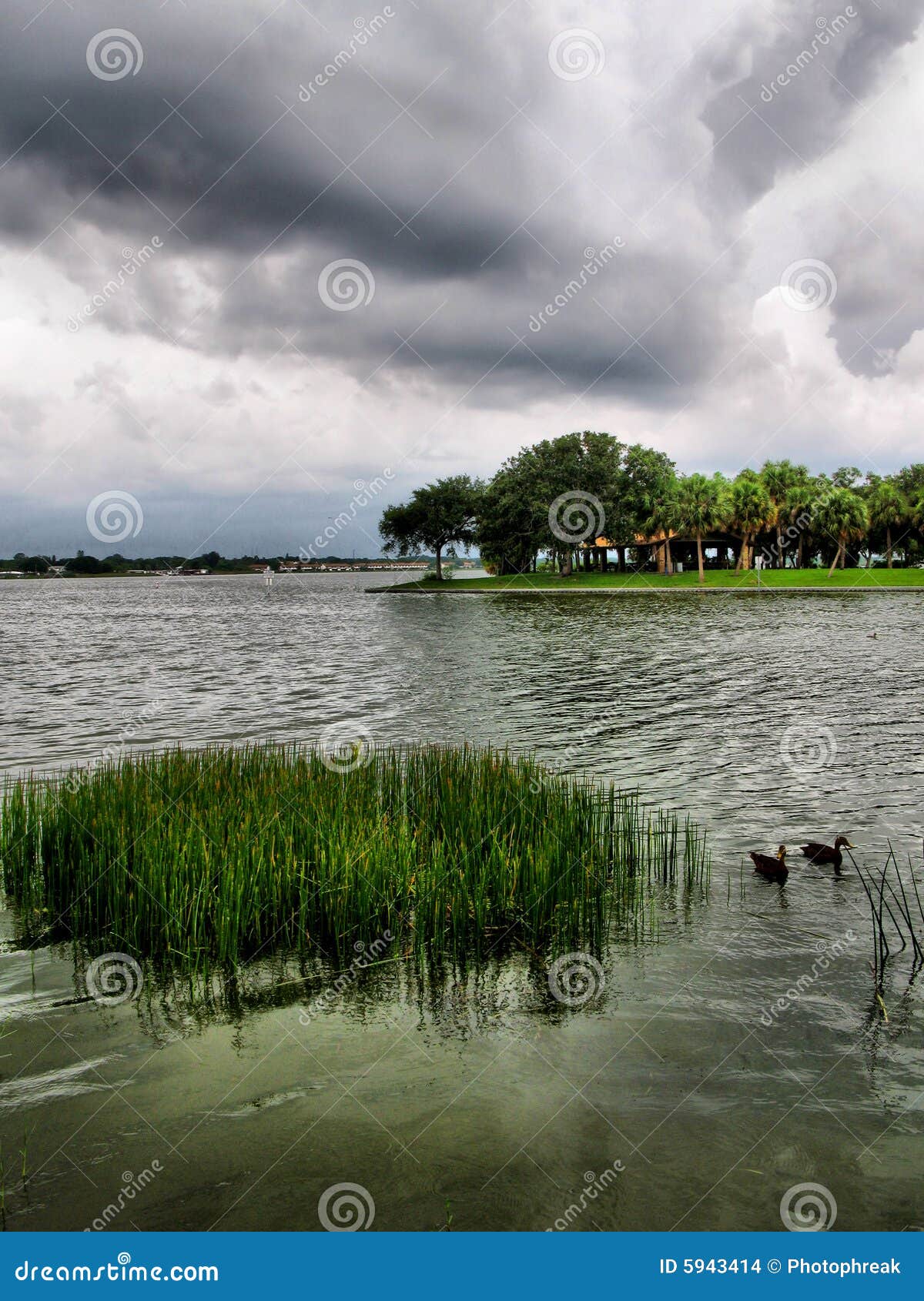 Storm clouds over lake stock photo. Image of lake, nature - 5943414