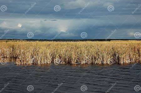 Storm Clouds Over the Marsh Stock Image - Image of environmental ...