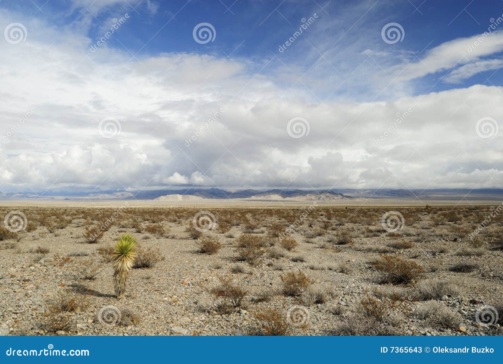 Storm Clouds Over Mojave Desert Stock Image - Image of arid, horizon ...