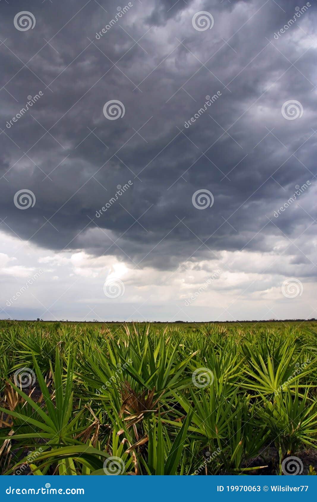Storm Clouds Over the Prairie Stock Image - Image of dark, outdoors ...