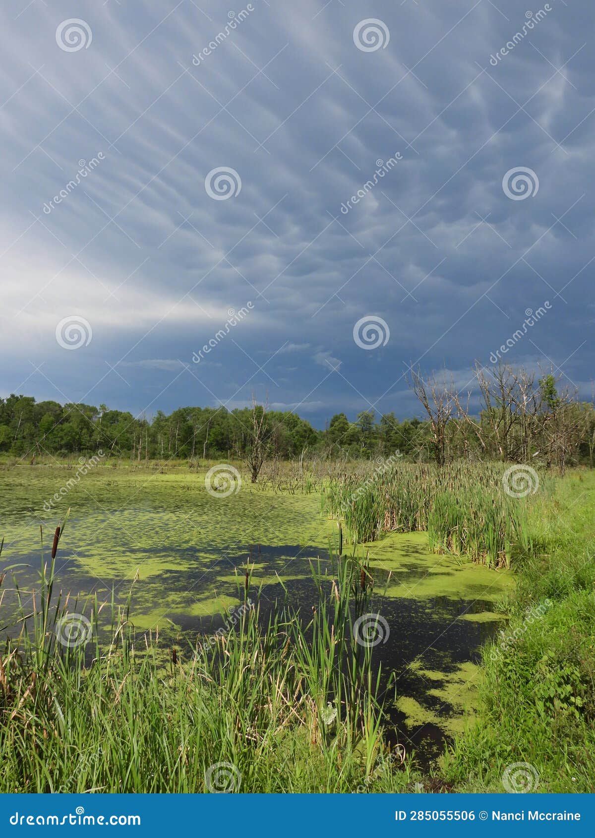 Storm Clouds Trail Over Wetlands in FingerLakes NYS Stock Photo - Image ...