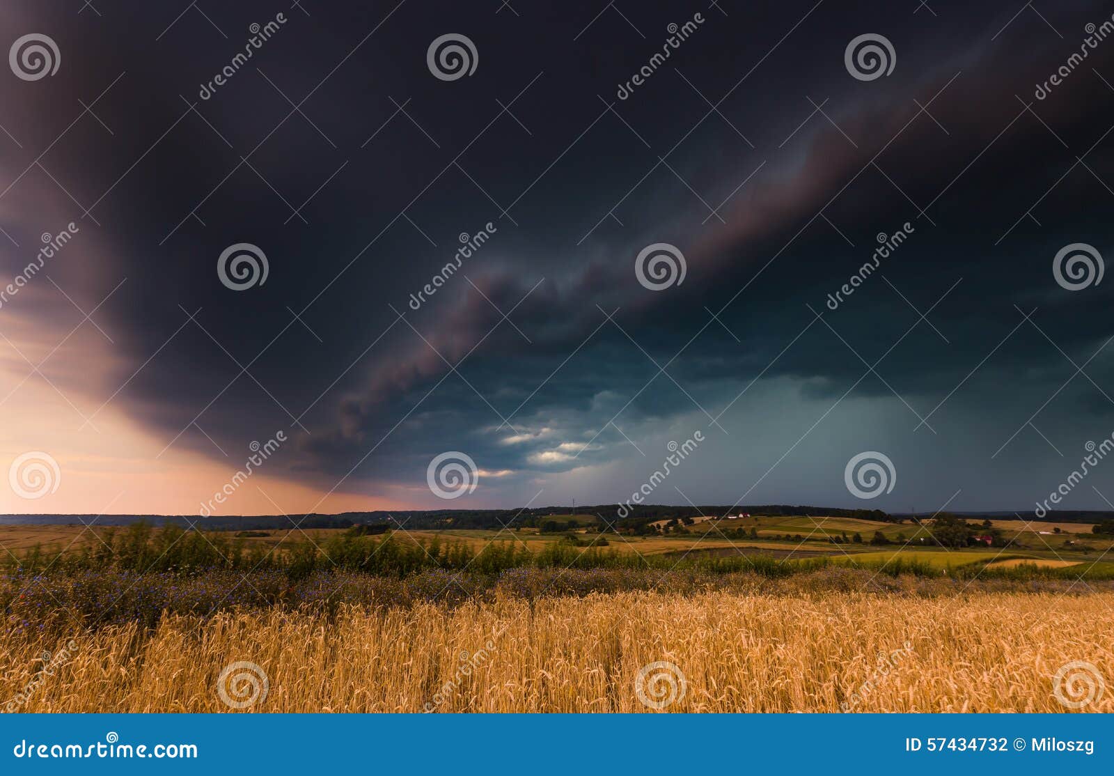 Storm Clouds Over Wheat Field. Stock Photo - Image of meteorology ...