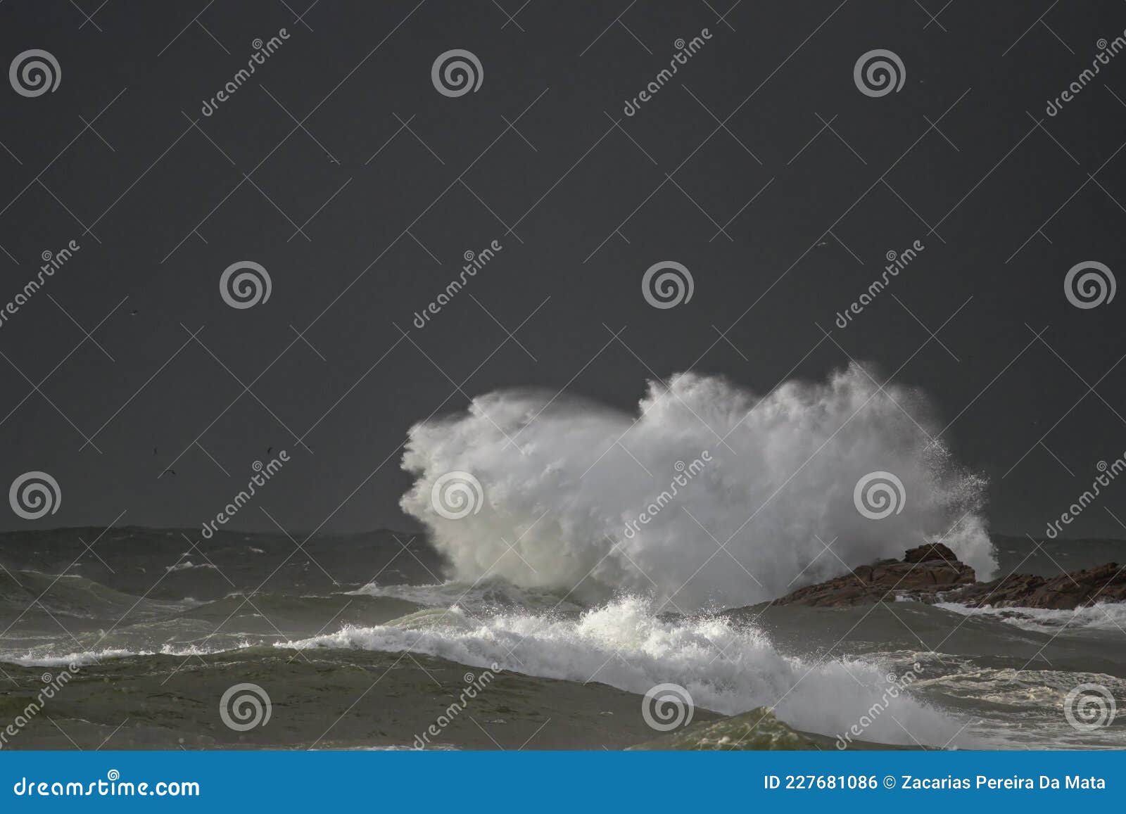 Storm on the coast stock photo. Image of rough, nature - 227681086
