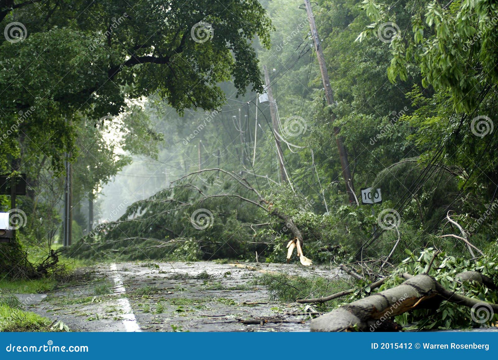 Storm Damage stock photo. Image of trees, utility, storm - 2015412