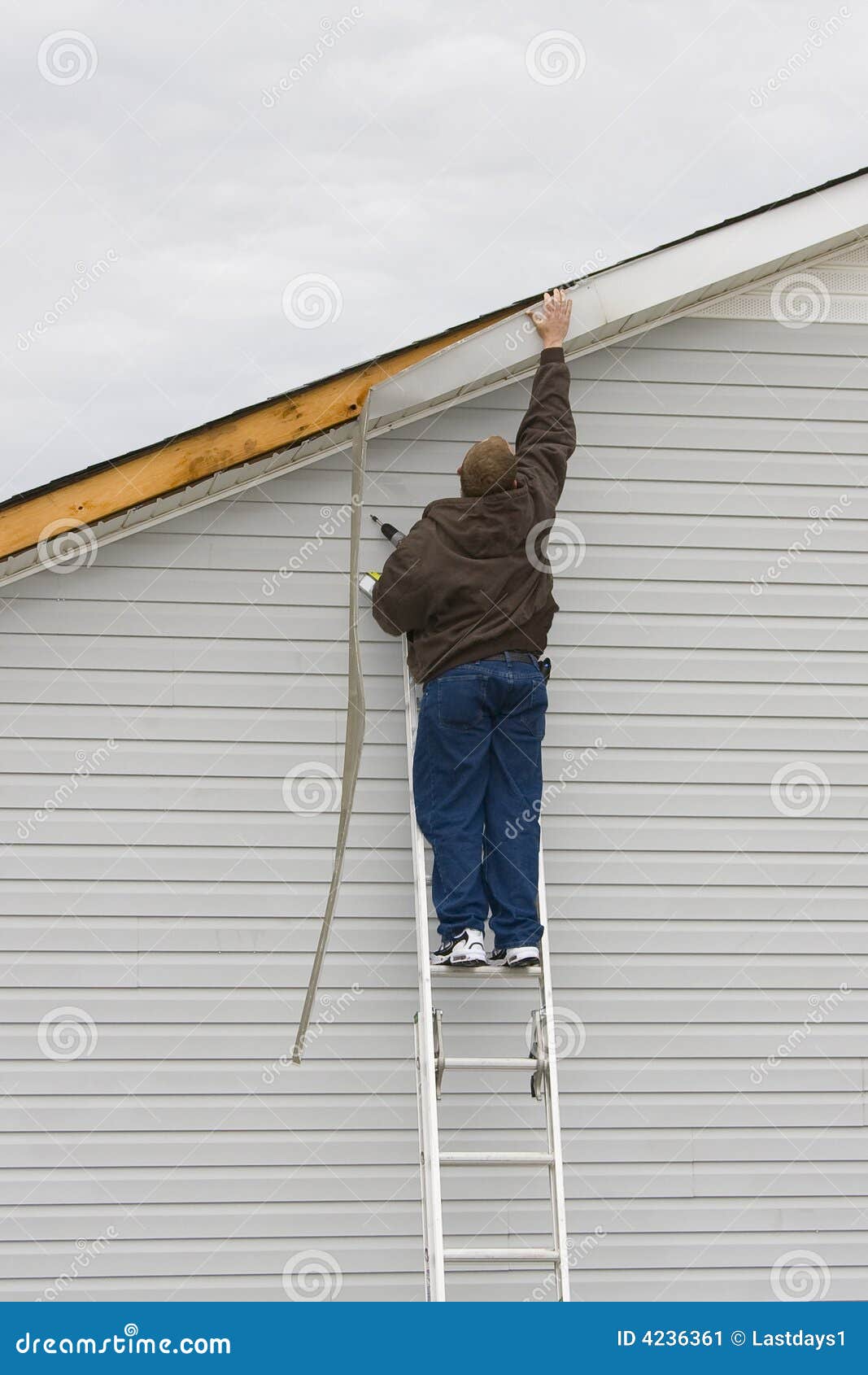 Storm damage stock image. Image of property, tree, ladder - 4236361