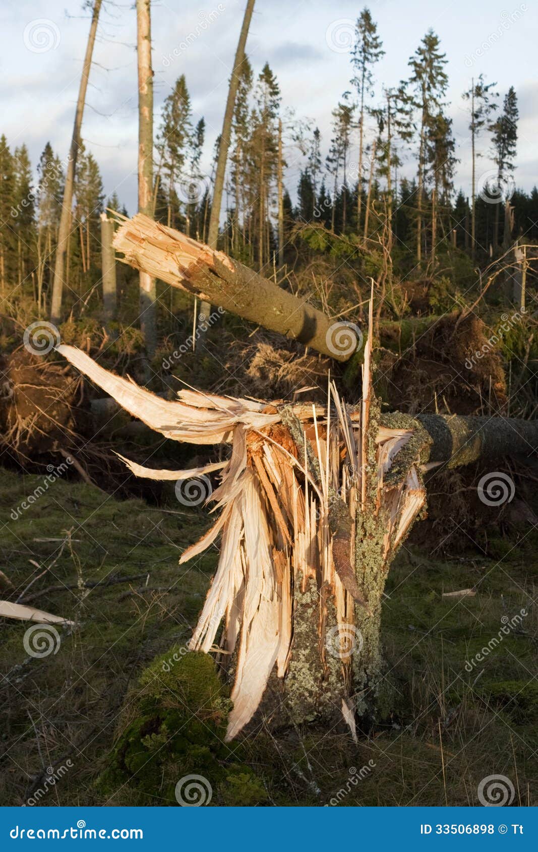 Storm damage stock photo. Image of landscapes, scenery - 33506898