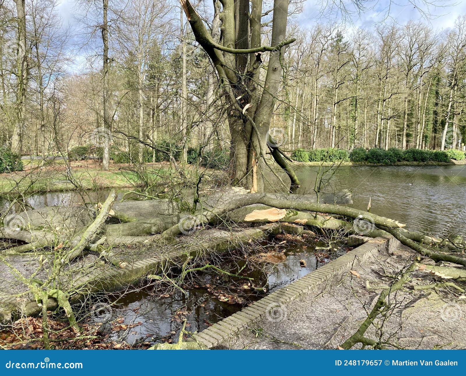 Storm Damage in Staverden in the Netherlands. Stock Image - Image of ...