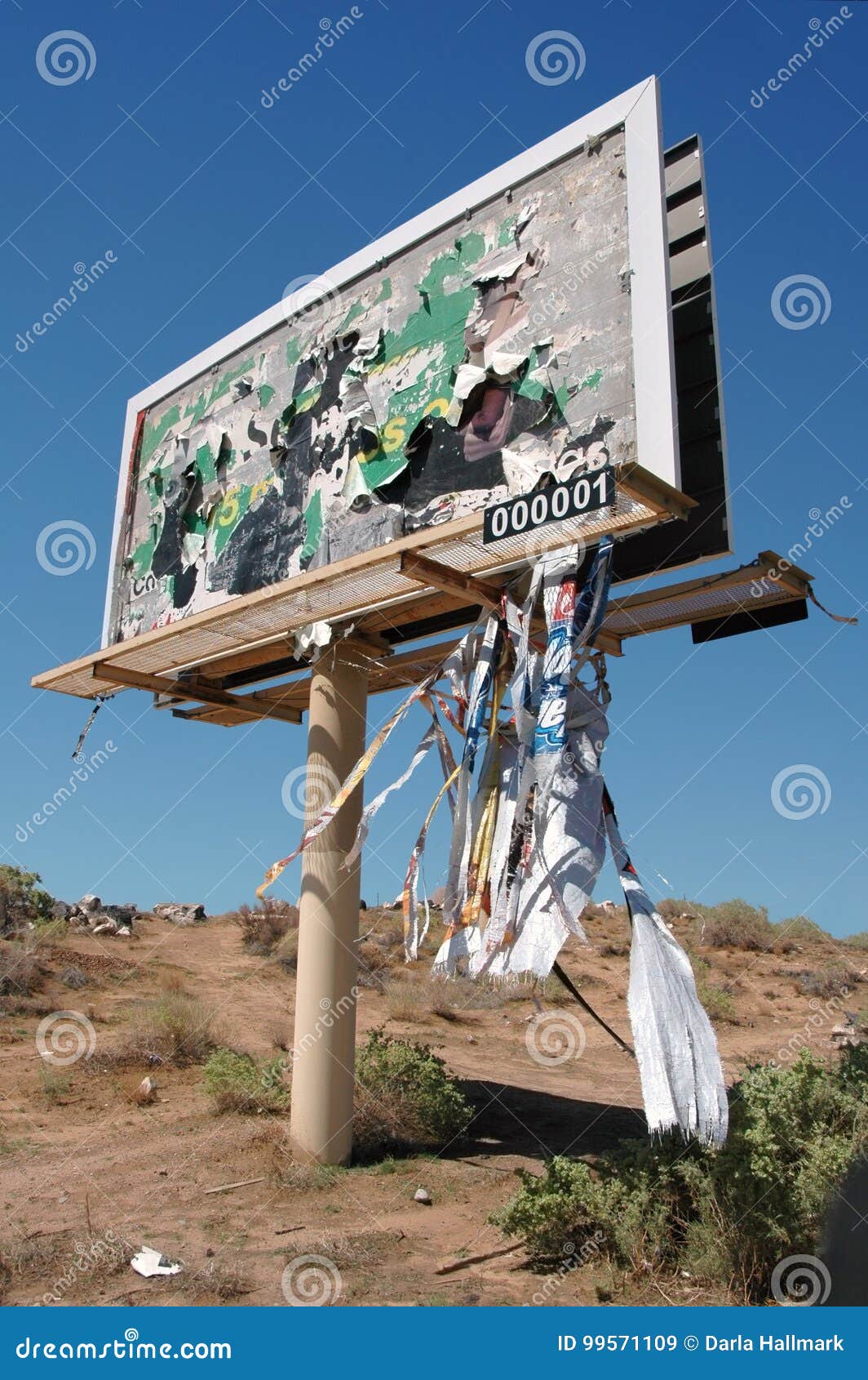 After the Wind stock image. Image of disaster, result - 99571109