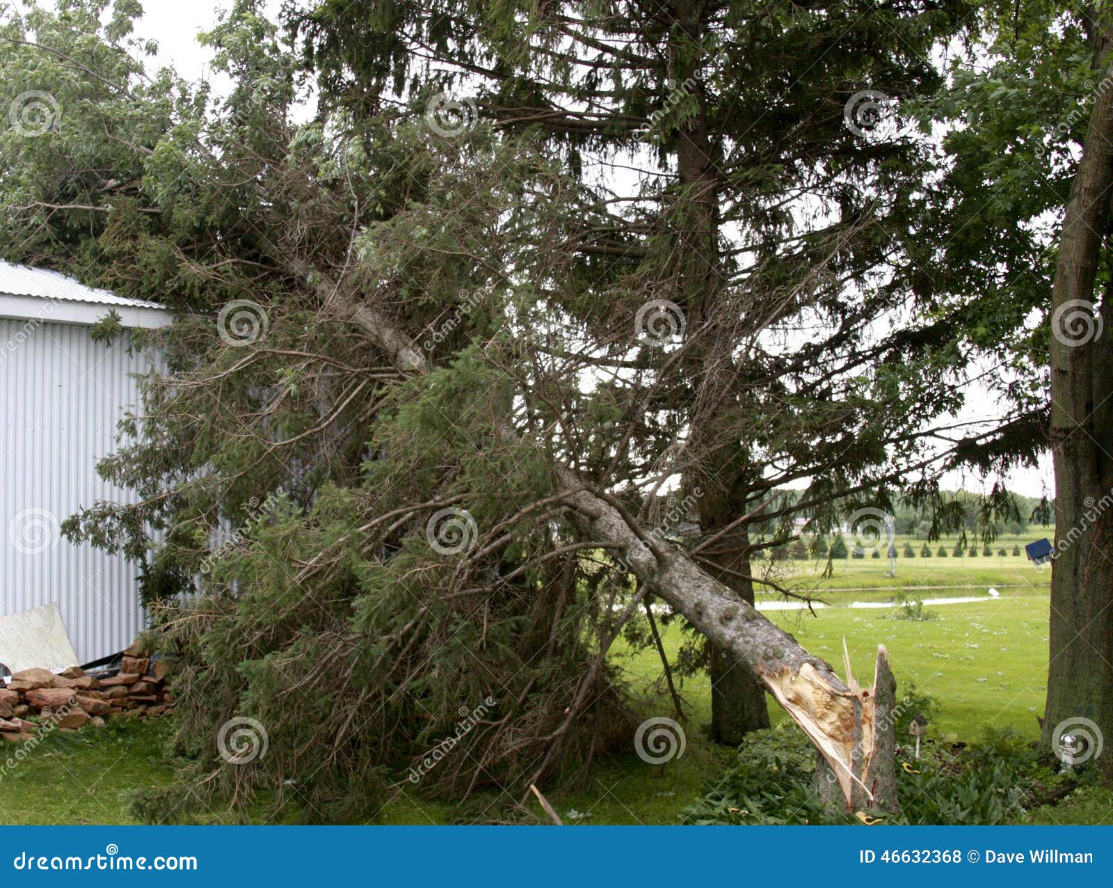 Storm Damaged Tree and Building Stock Photo - Image of damage, fallen ...