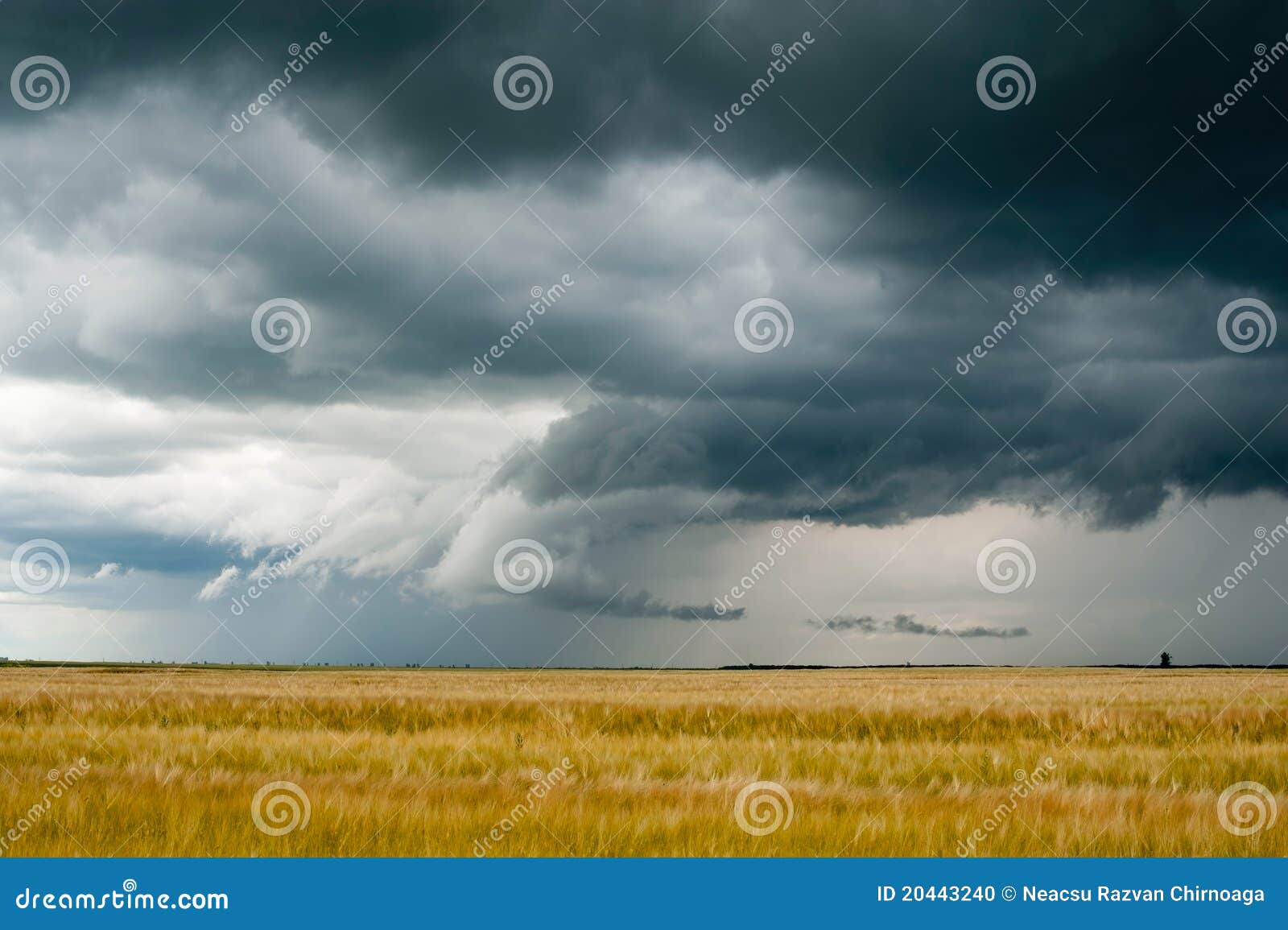 Storm Dark Clouds Over Field Stock Photo - Image of crop, plain: 20443240