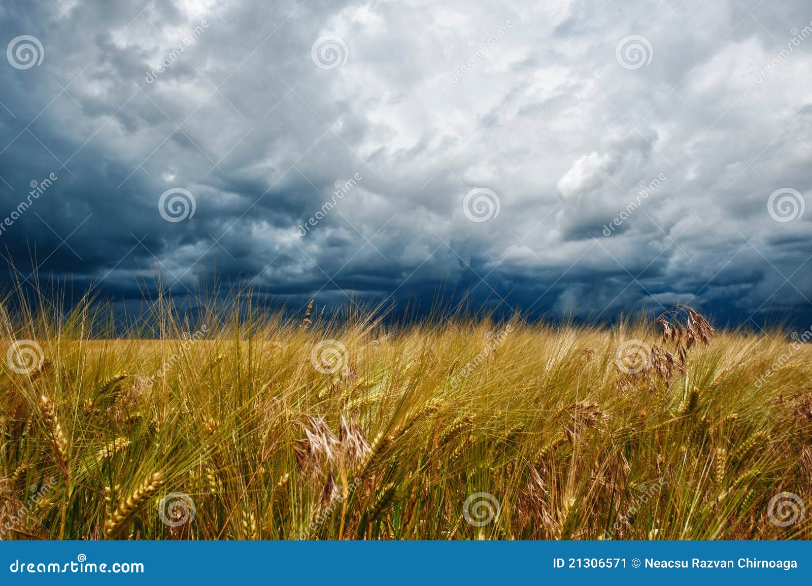 Storm Dark Clouds Over Field Stock Image - Image of nature, land: 21306571
